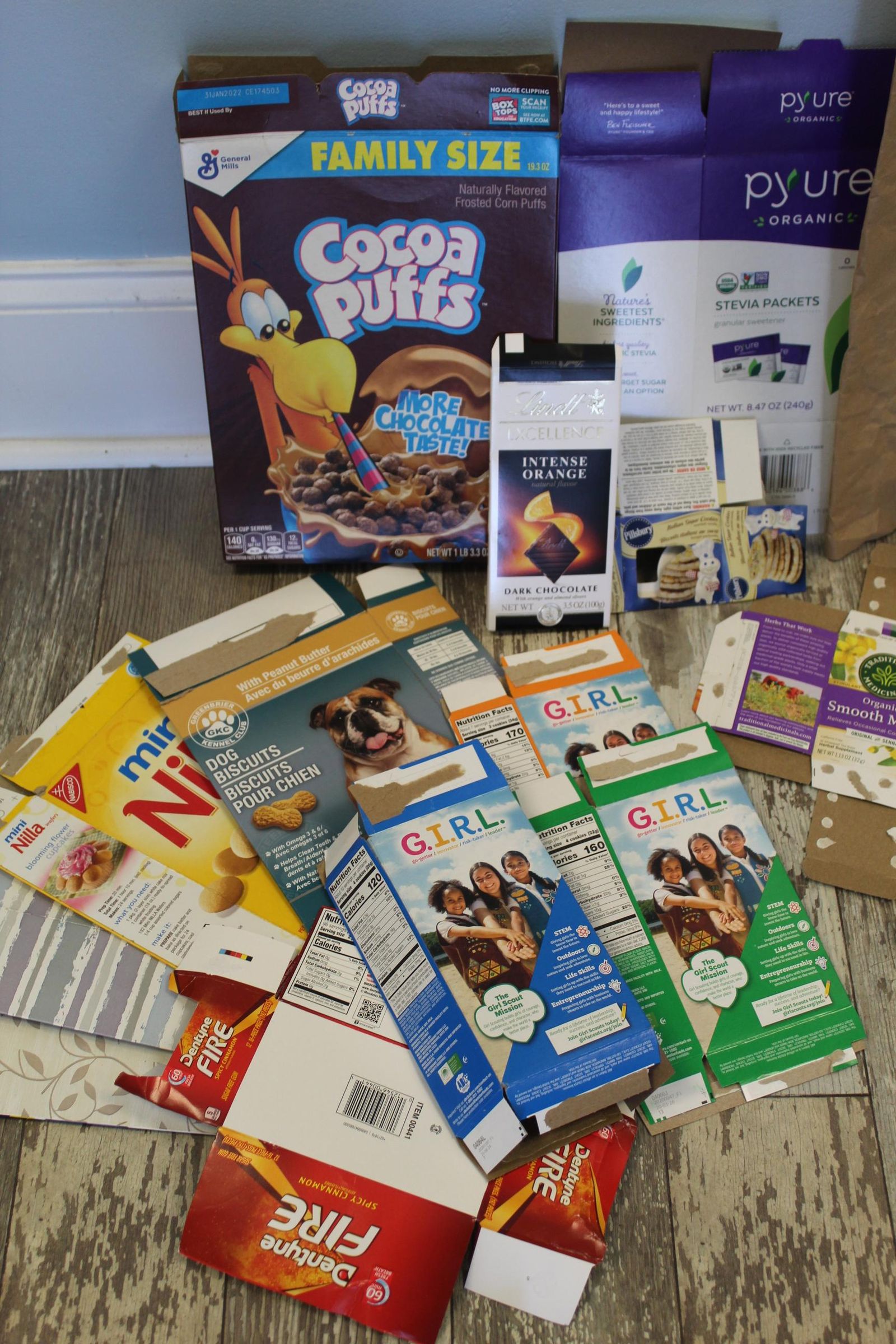 Debris Diary Aka Junk Journal : 9 Steps (with Pictures) - Instructables