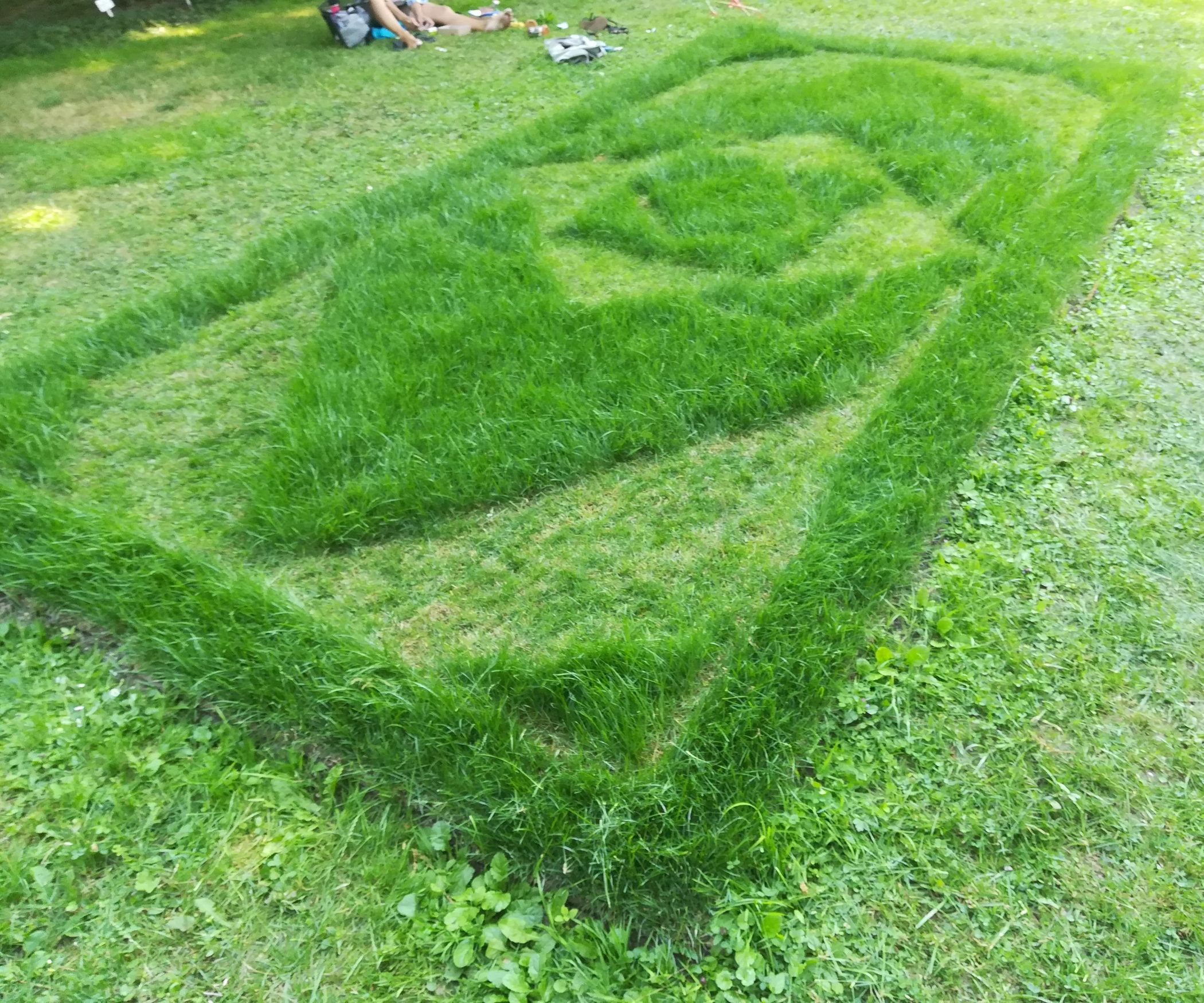 Living Carpet : 5 Steps - Instructables