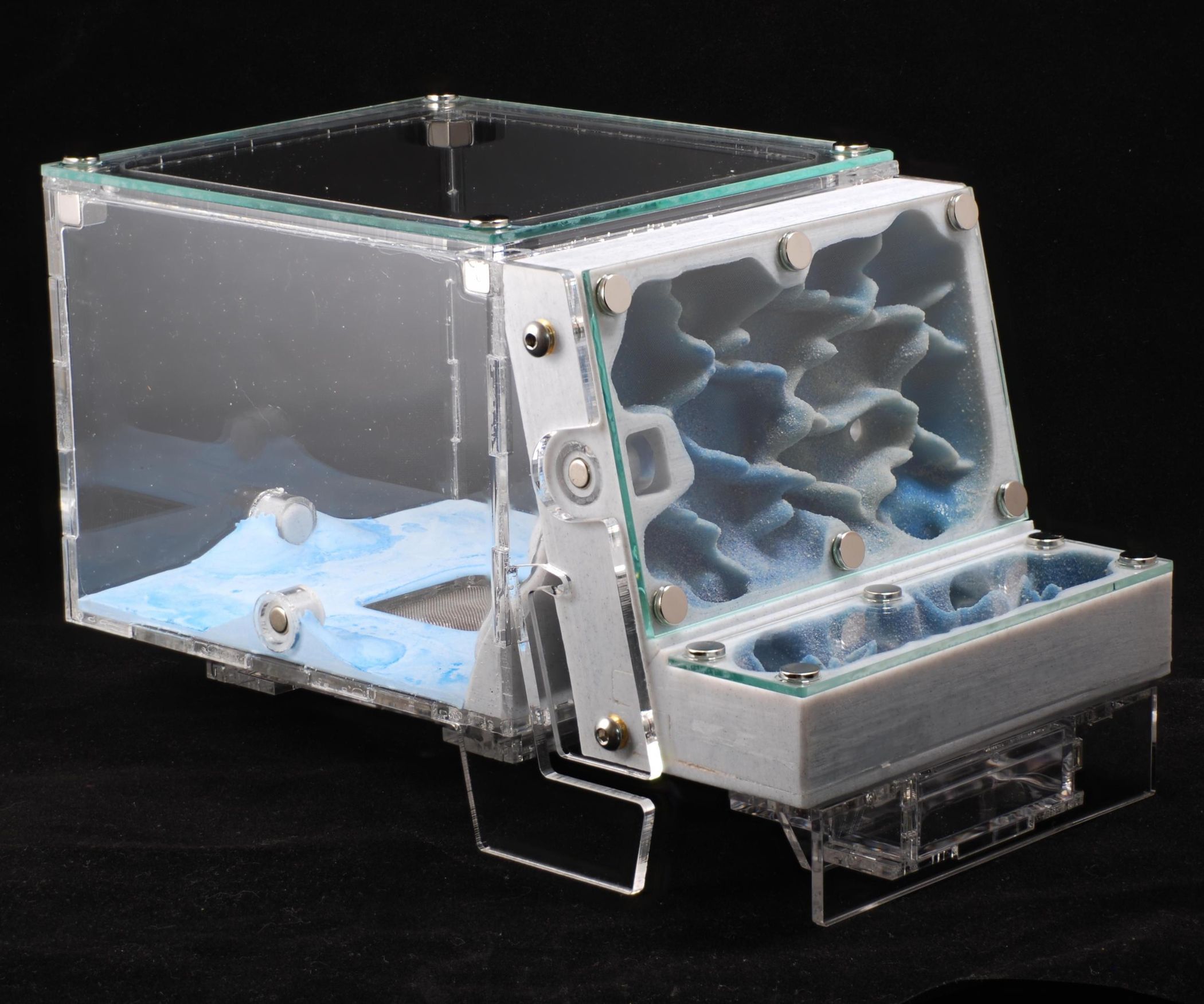 Medium Modular Formicarium (Ant Farm) : 18 Steps (with Pictures ...