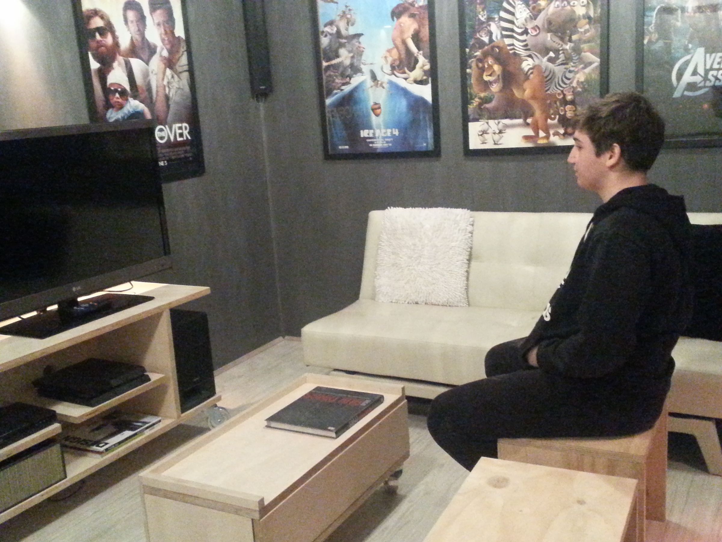 Multi-purpose Entertainment Unit : 6 Steps (with Pictures) - Instructables