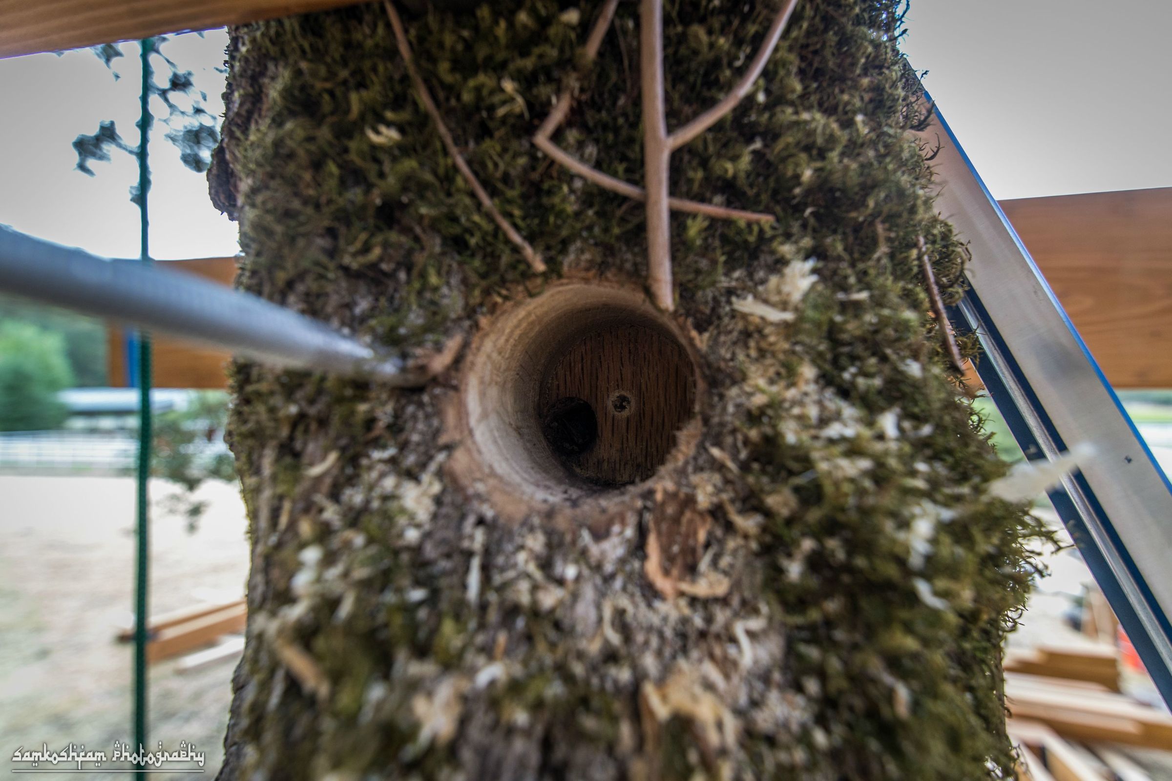 Treehouse Hardware Series - Tree Attachment Bolt (TAB) : 9 Steps (with ...