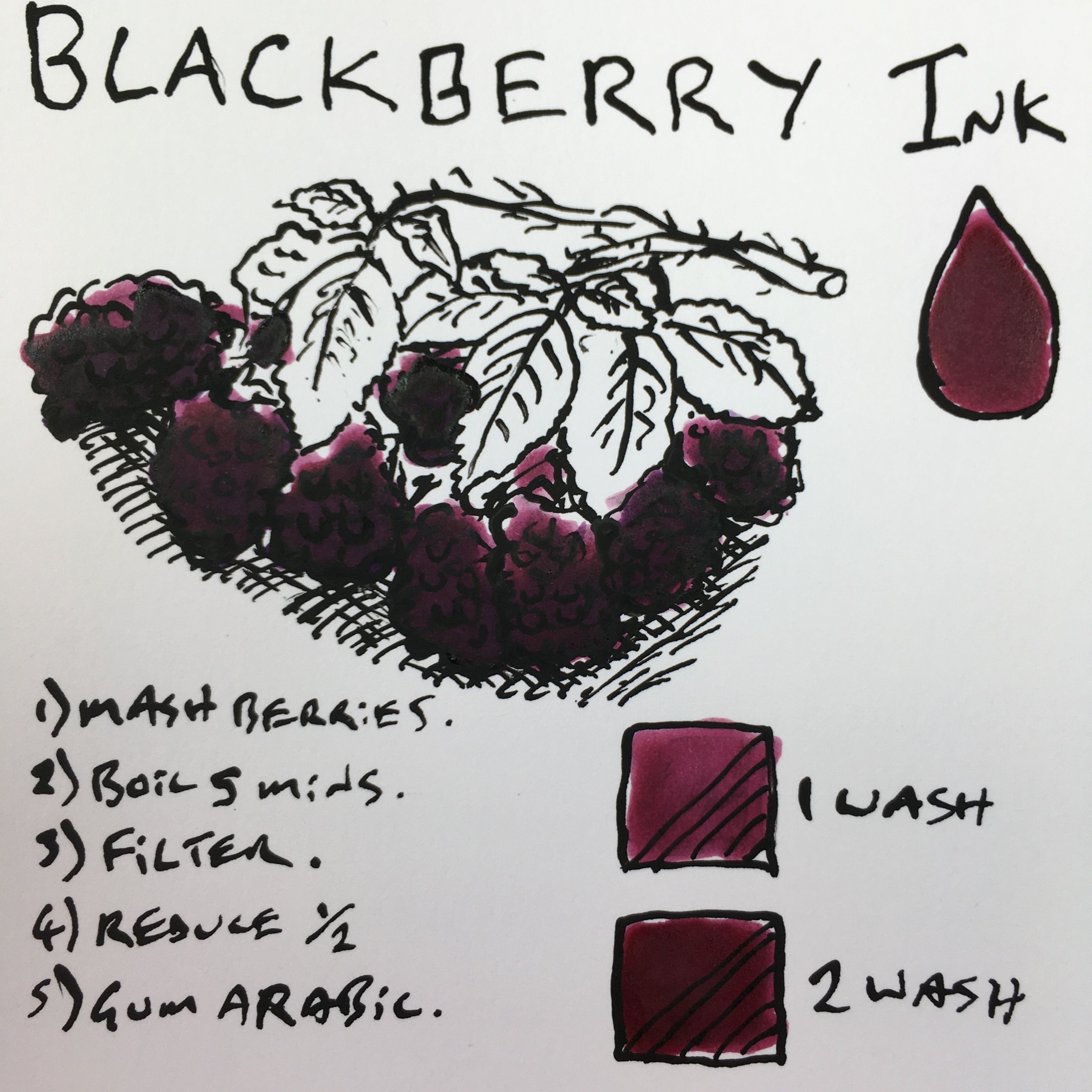 Home Made Ink From Nature: Perfect Purples : 18 Steps (with Pictures ...