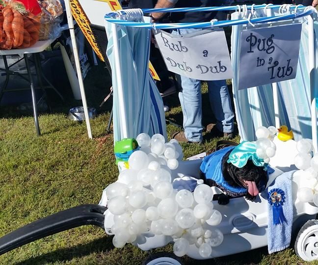 Rub a Dub Dub Pug in a Tub - Instructables