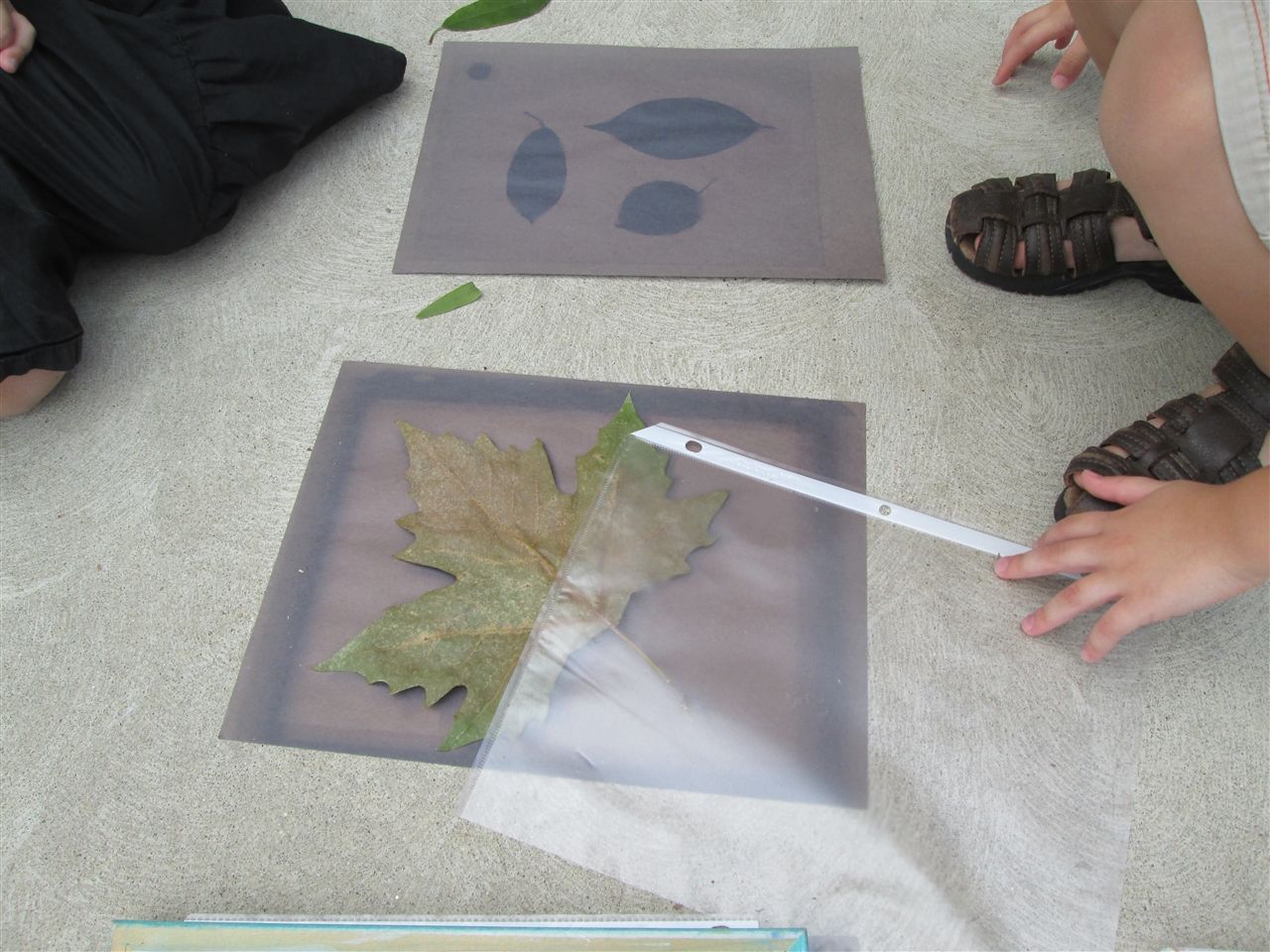 DIY Construction Paper Solar Prints : 6 Steps (with Pictures ...