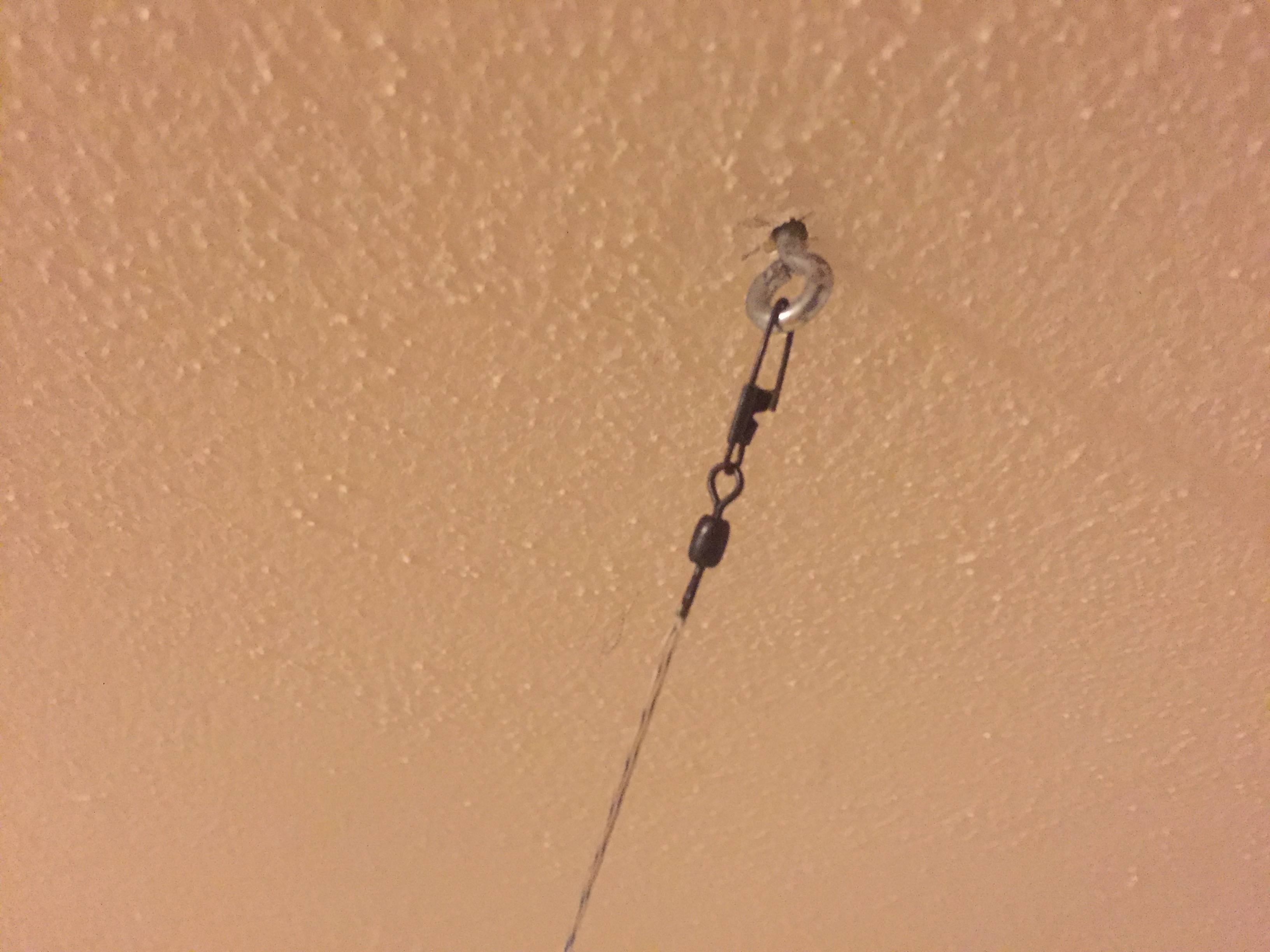 How to Make the Ring Game : 7 Steps (with Pictures) - Instructables