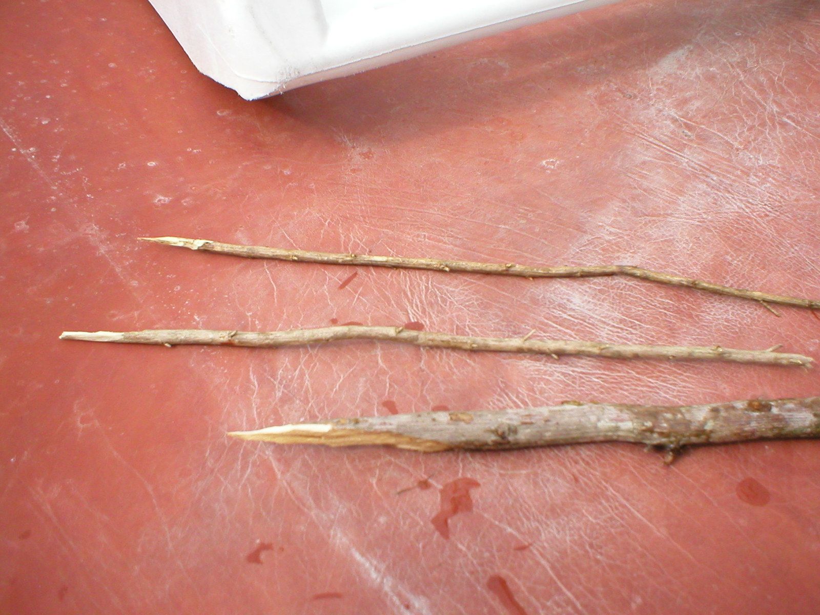 Rabbit Snare : 6 Steps - Instructables