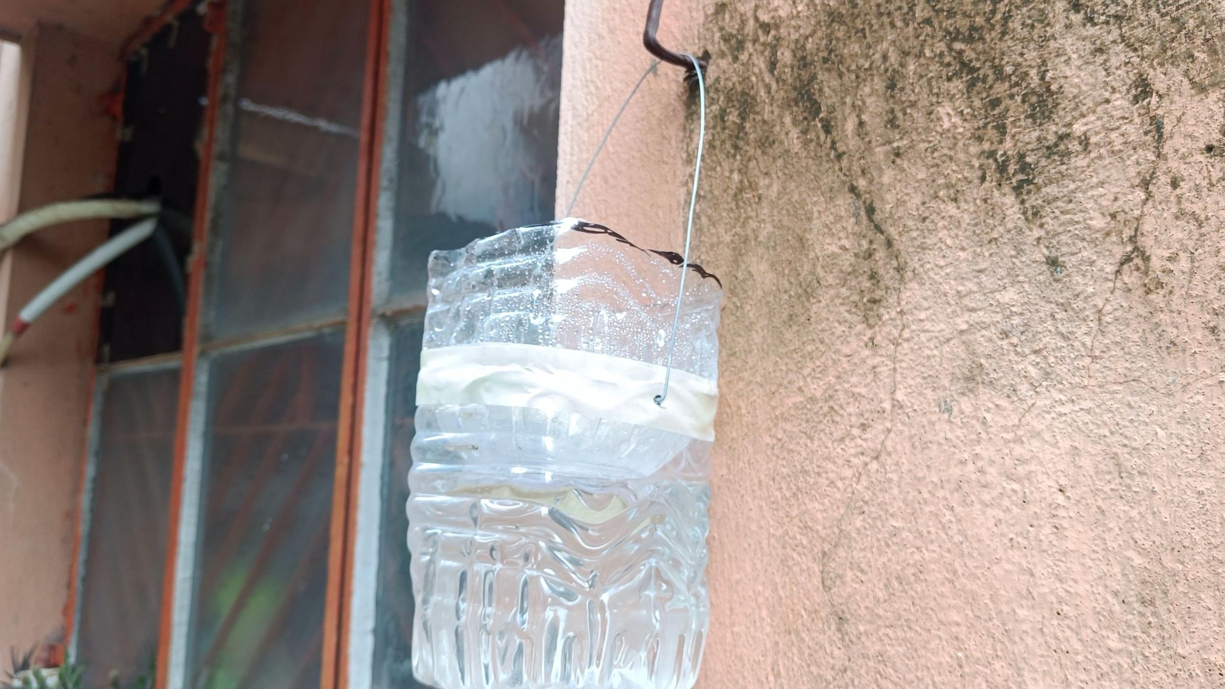 Monsoon Mosquito Control - DIY Ovitraps to Reduce Mosquito Populations ...