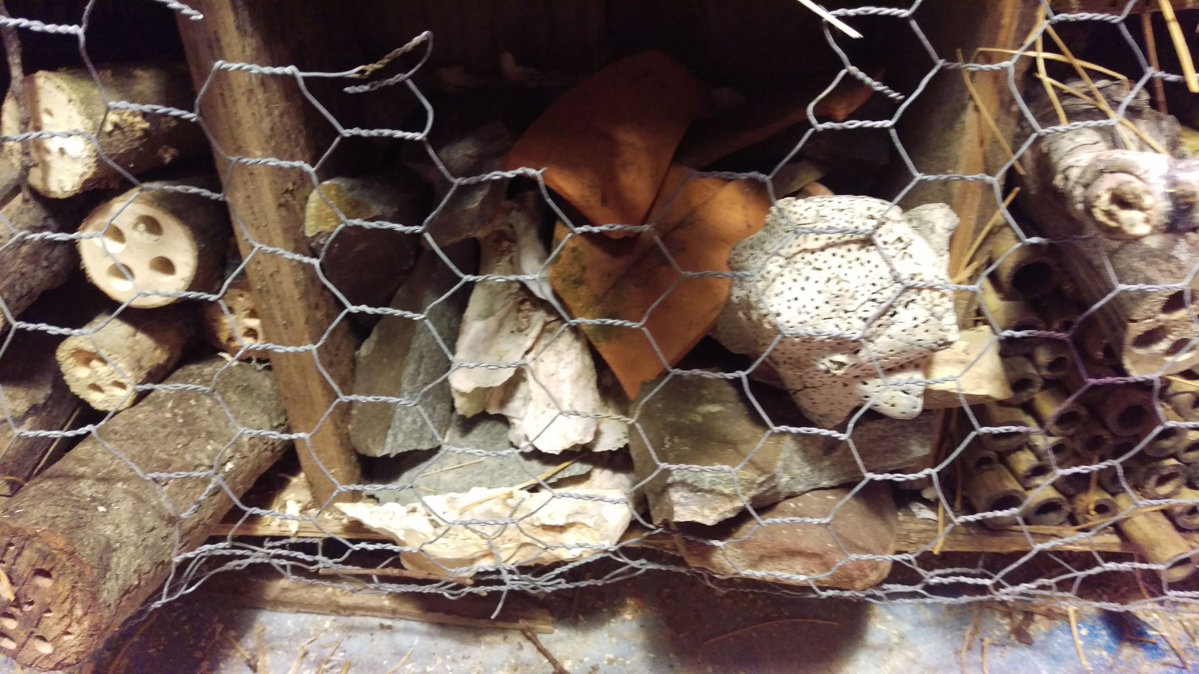 Bee Condo Insect Hotel : 9 Steps (with Pictures) - Instructables