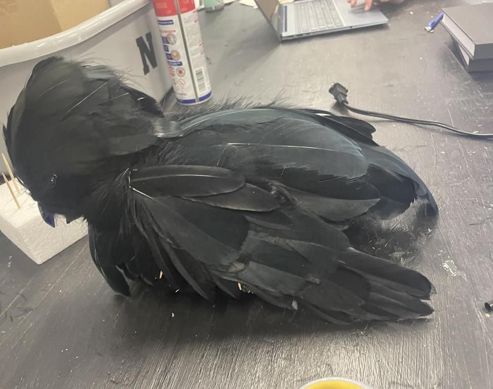 Cawing Raven : 15 Steps (with Pictures) - Instructables