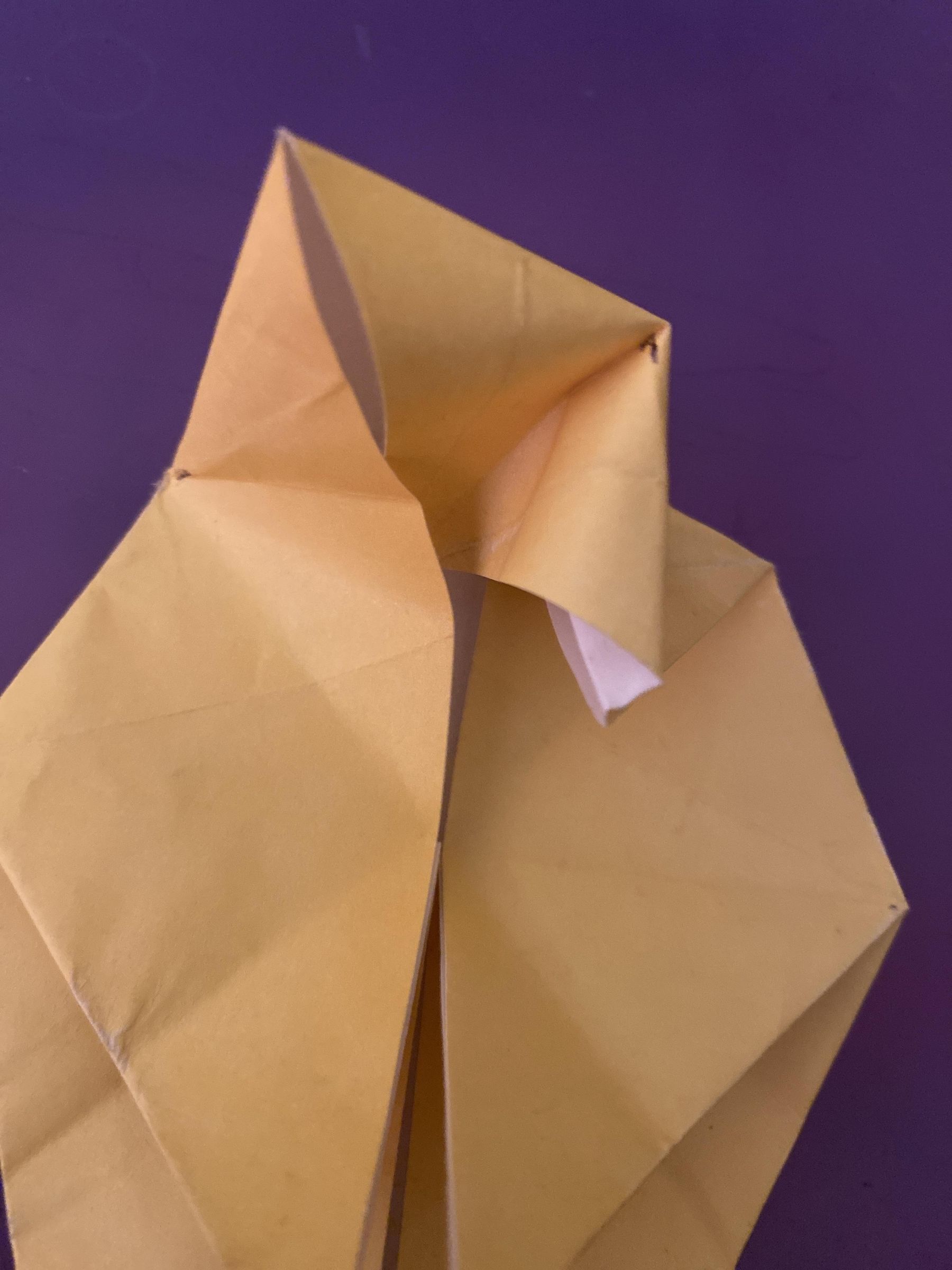 Origami Rat : 27 Steps - Instructables