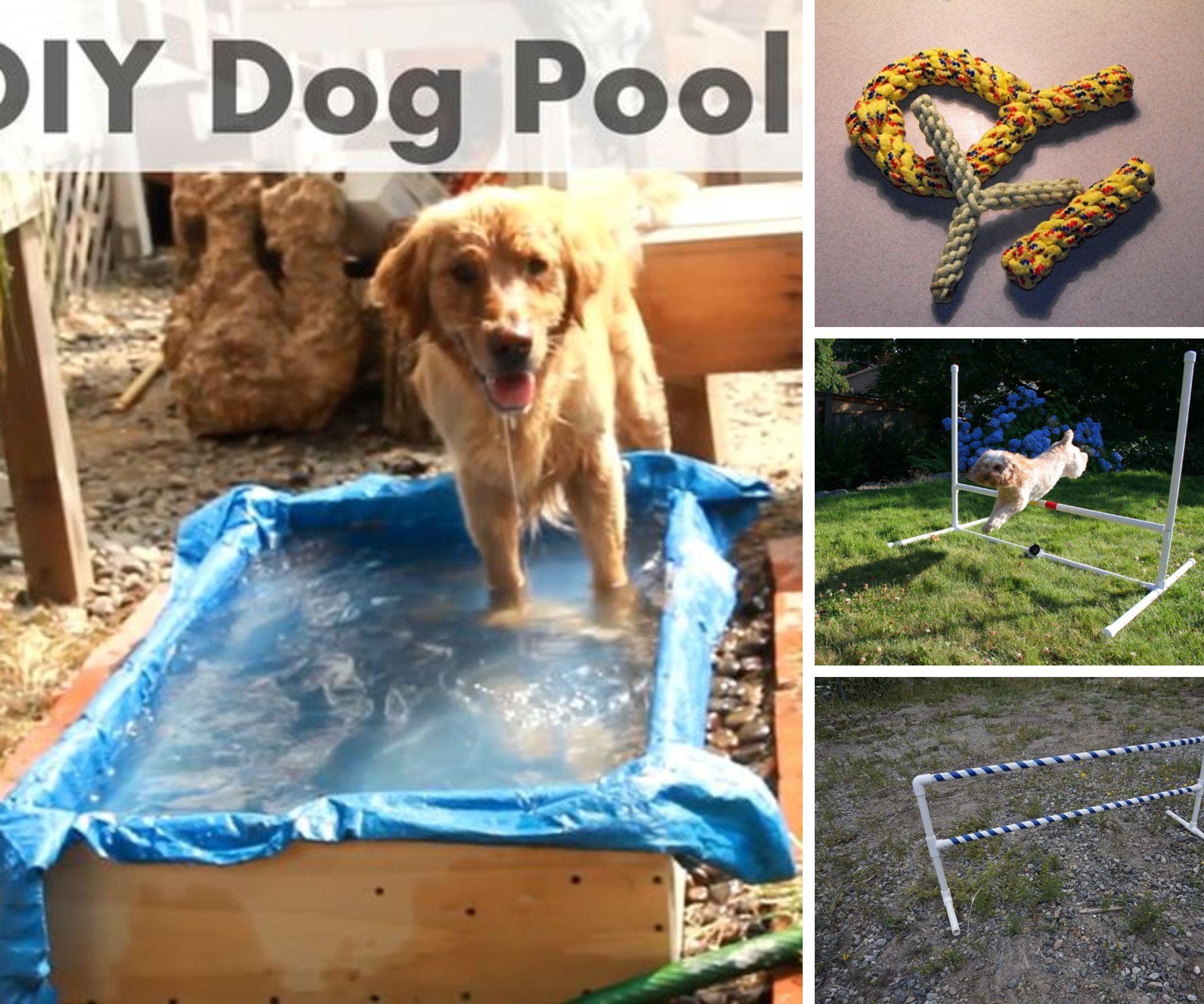 Cooper and Lola - Instructables
