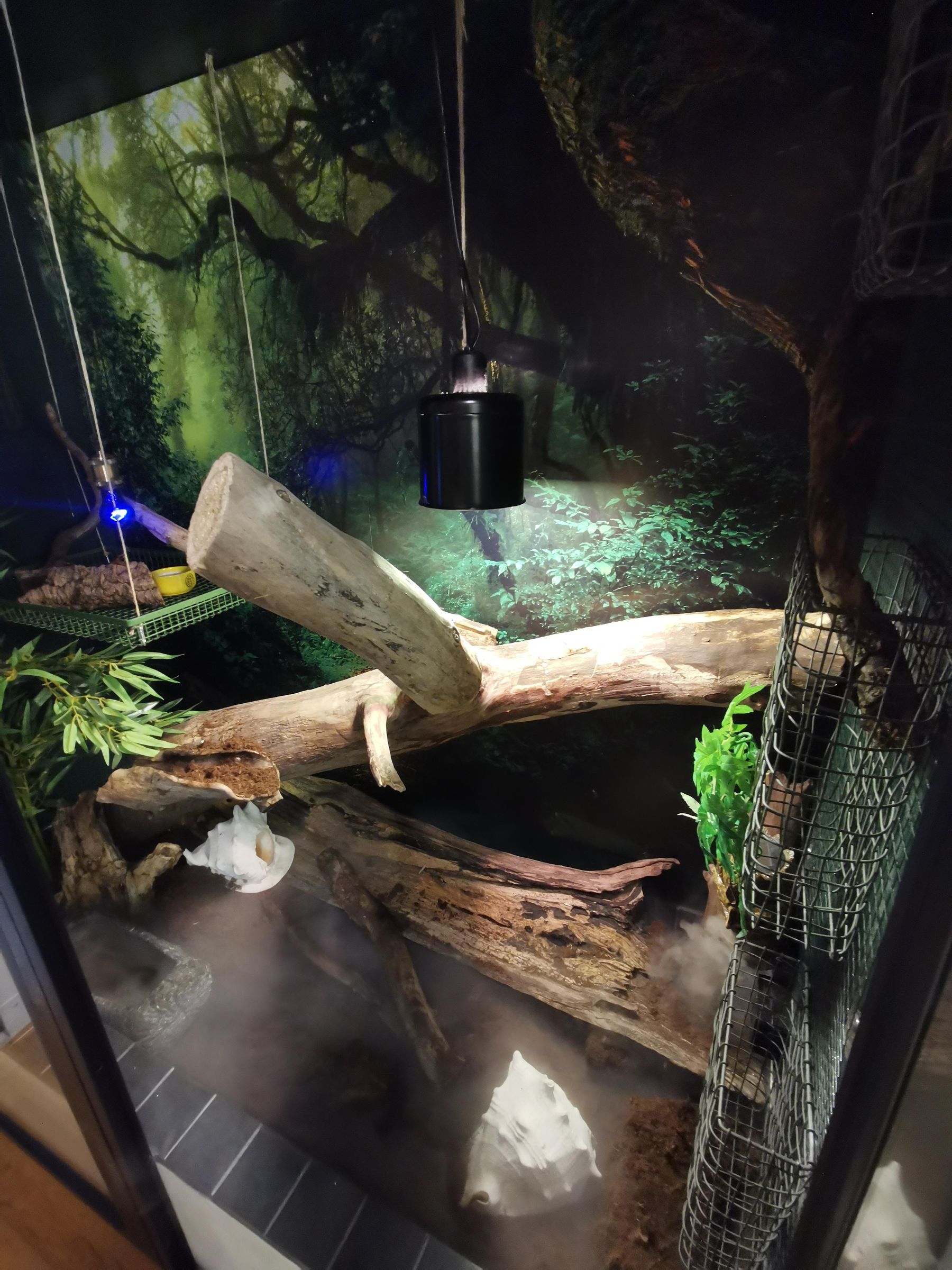 Vivarium for a Reptile : 12 Steps (with Pictures) - Instructables