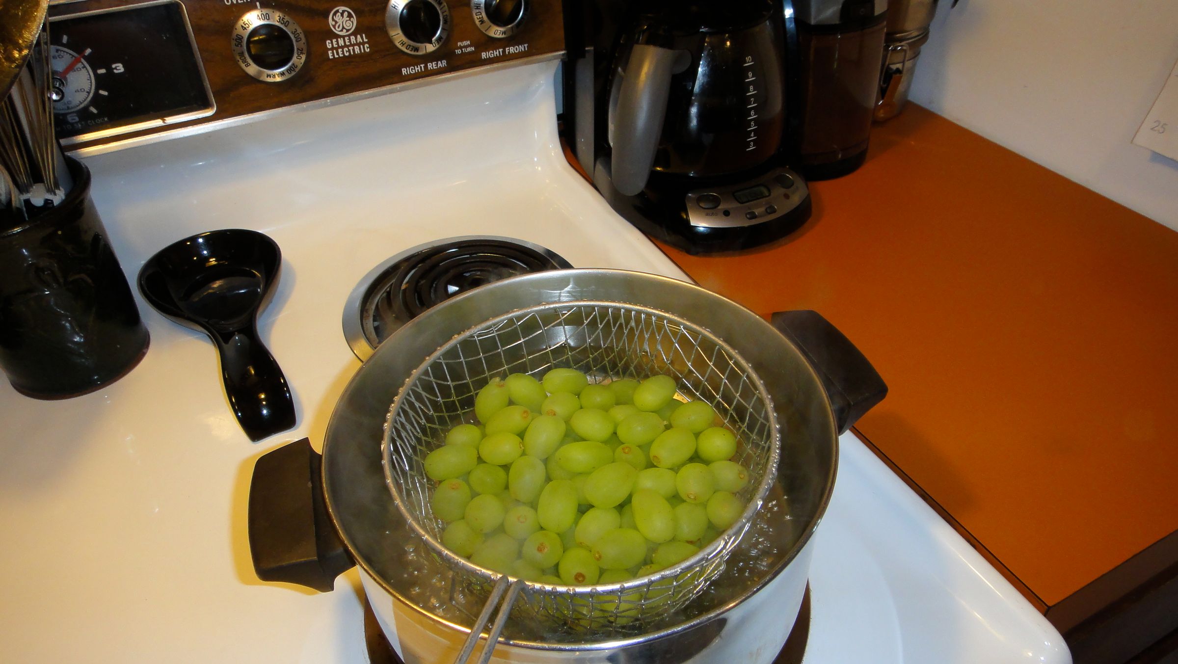 Make Raisins With a Dehydrator : 4 Steps (with Pictures) - Instructables