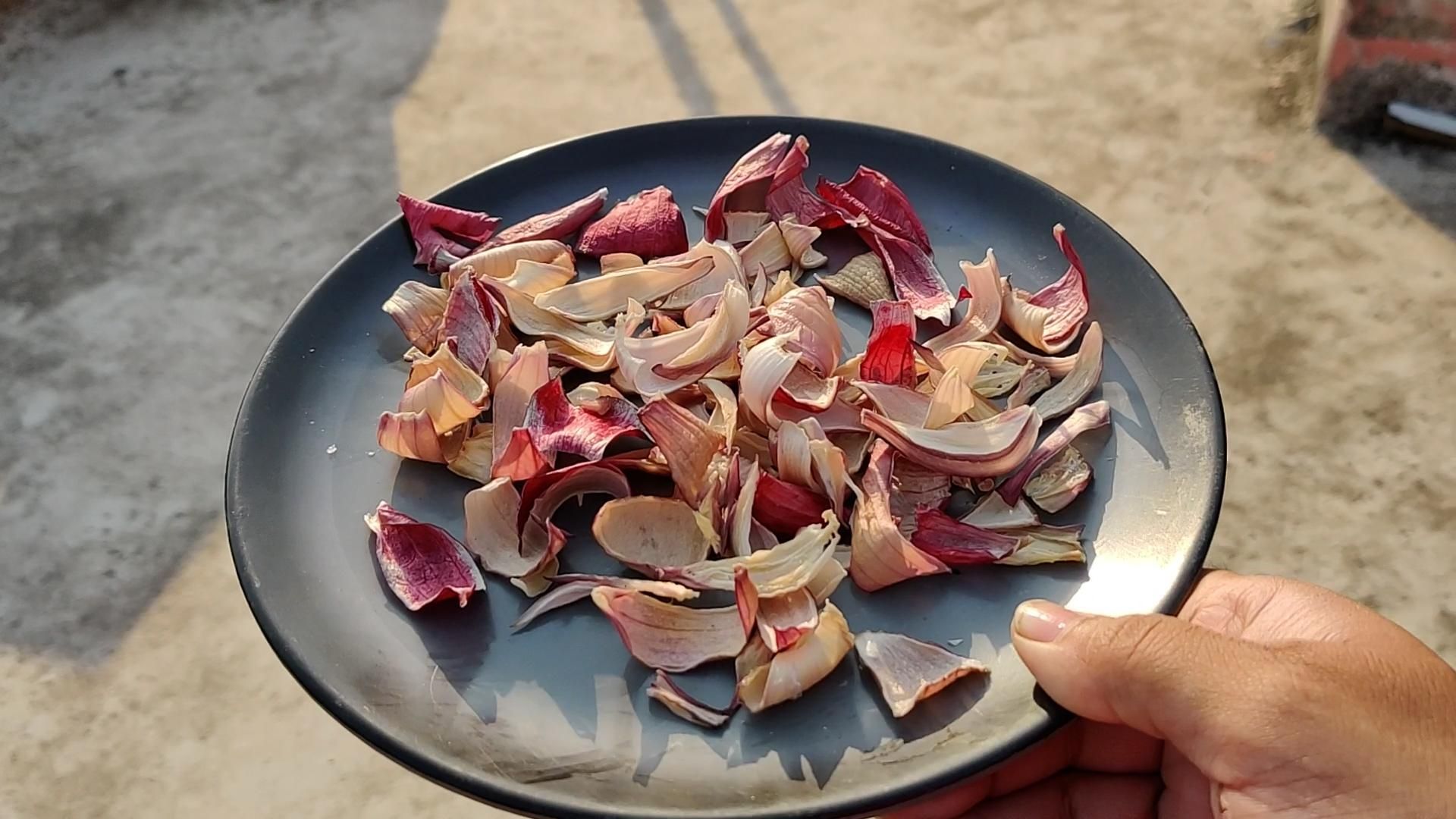 Solar Powered Food Dryer - How to Make a Sustainable Way to Preserve ...