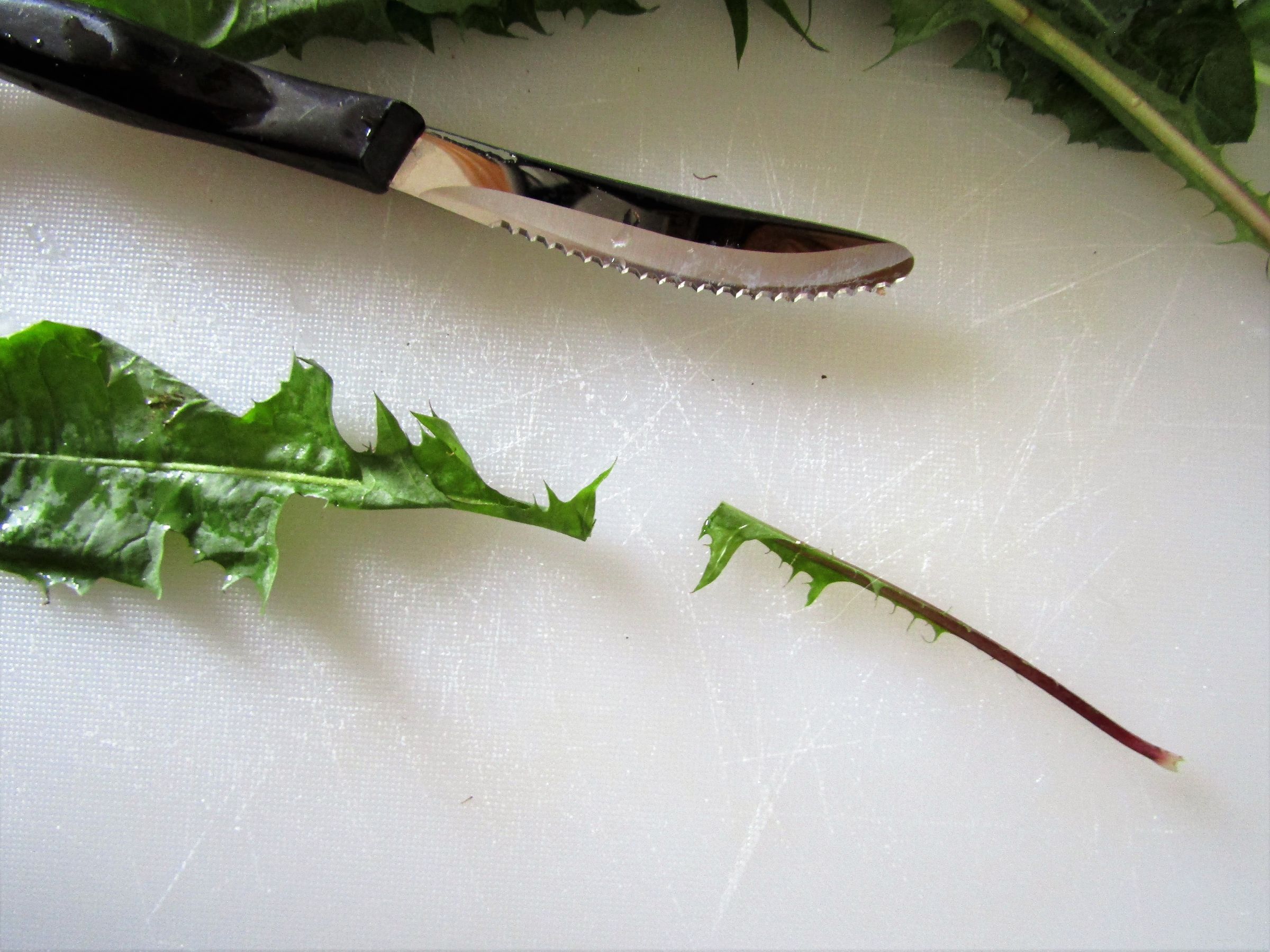 How to Eat a Dandelion : 10 Steps (with Pictures) - Instructables