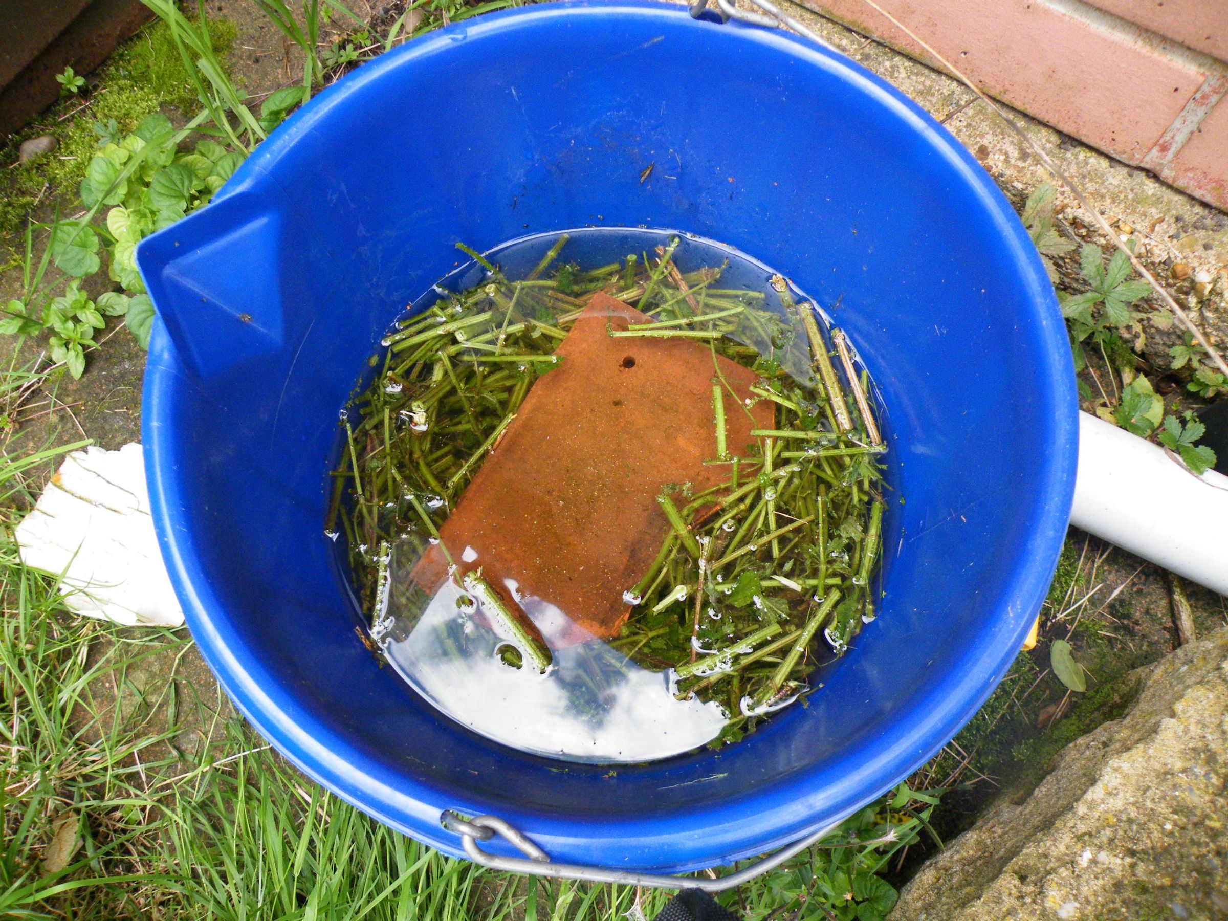 How to Make Paper : 15 Steps (with Pictures) - Instructables