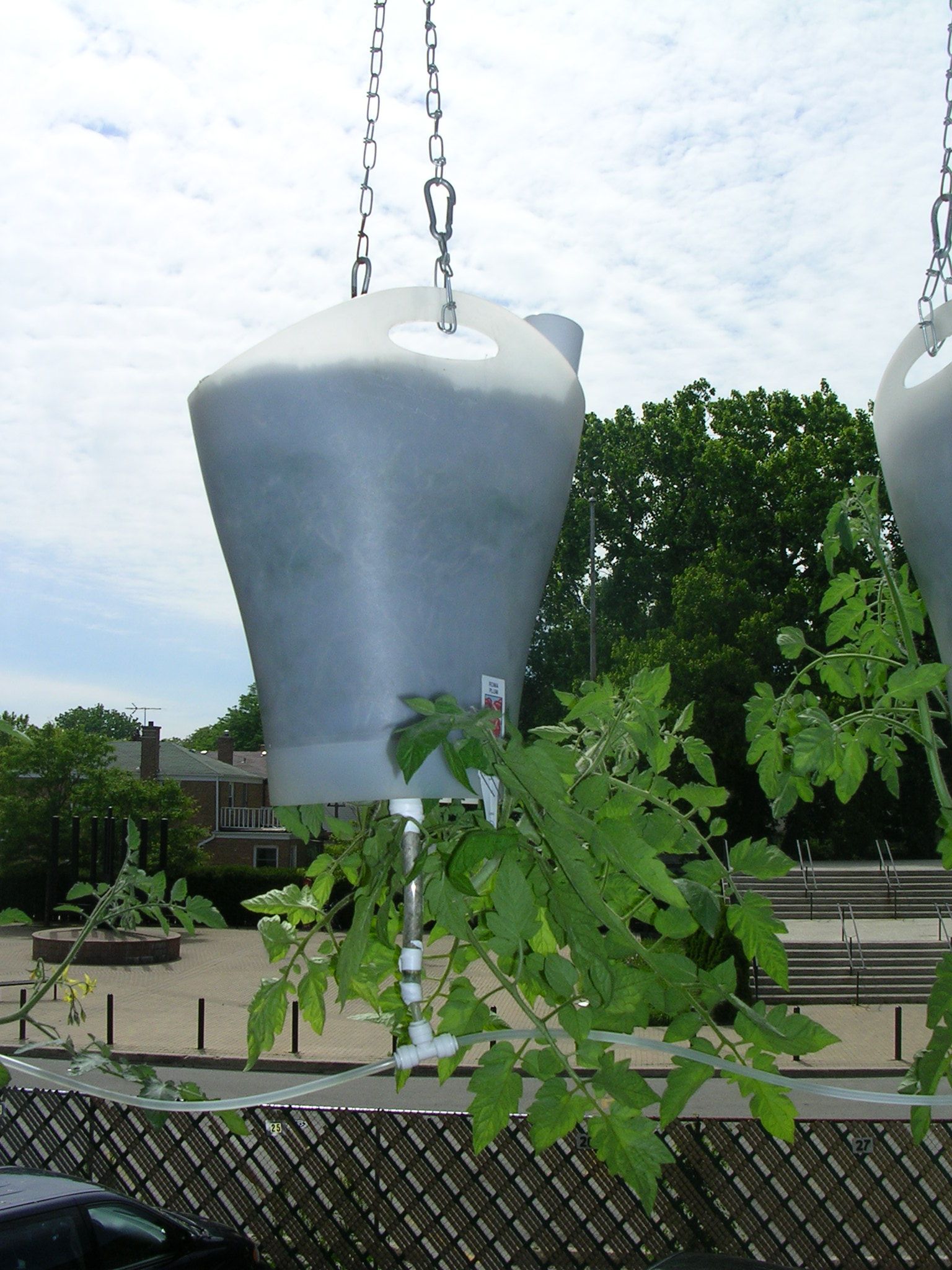 How To Hang Plants Upside Down