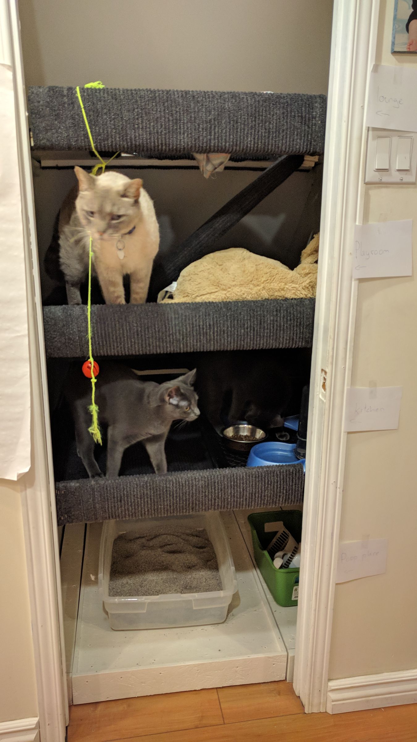 A Cat Chalet; Why Not? : 7 Steps (with Pictures) - Instructables