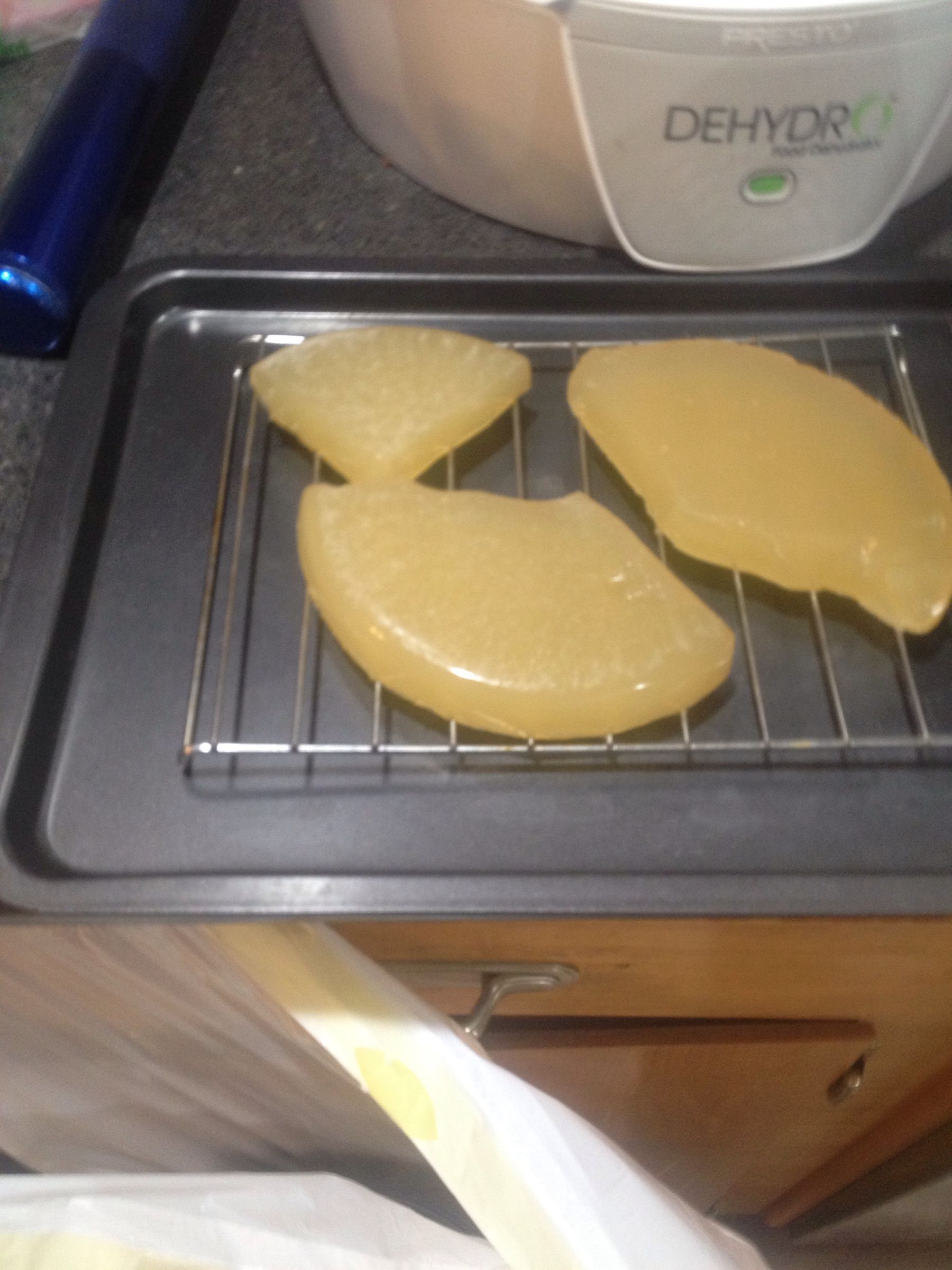 Portable/Pocket Soup : 7 Steps (with Pictures) - Instructables