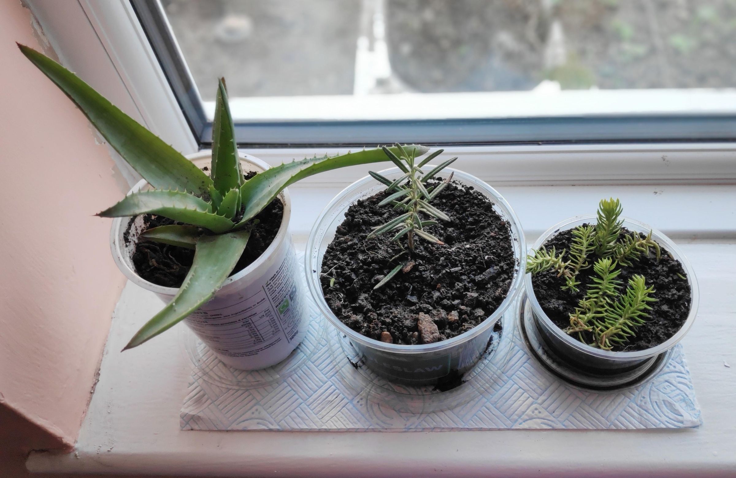 Free Plant Pots From Recycled Plastic Food Containers : 4 Steps ...