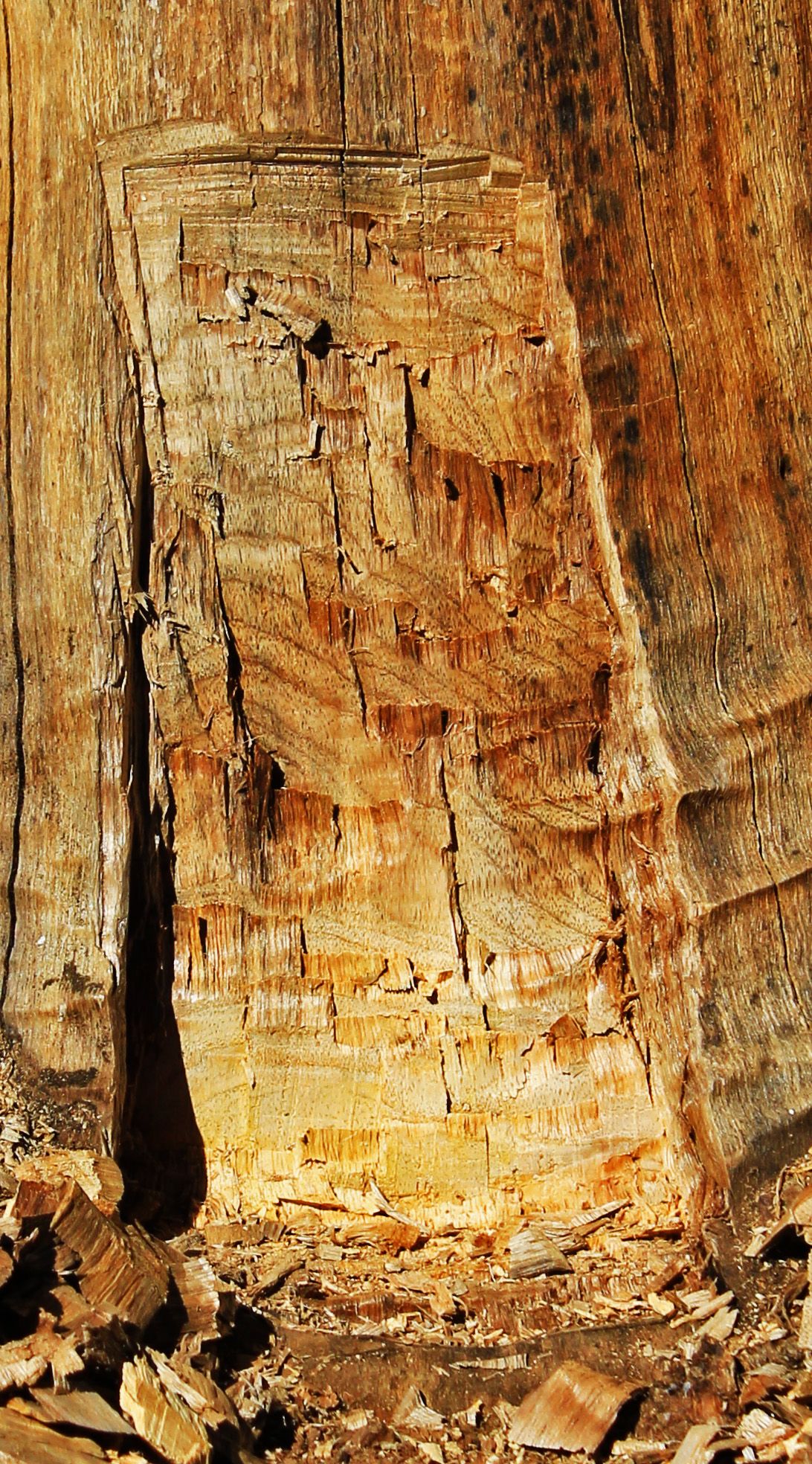 Hobbit / Gnome Hole Door : 4 Steps (with Pictures) - Instructables