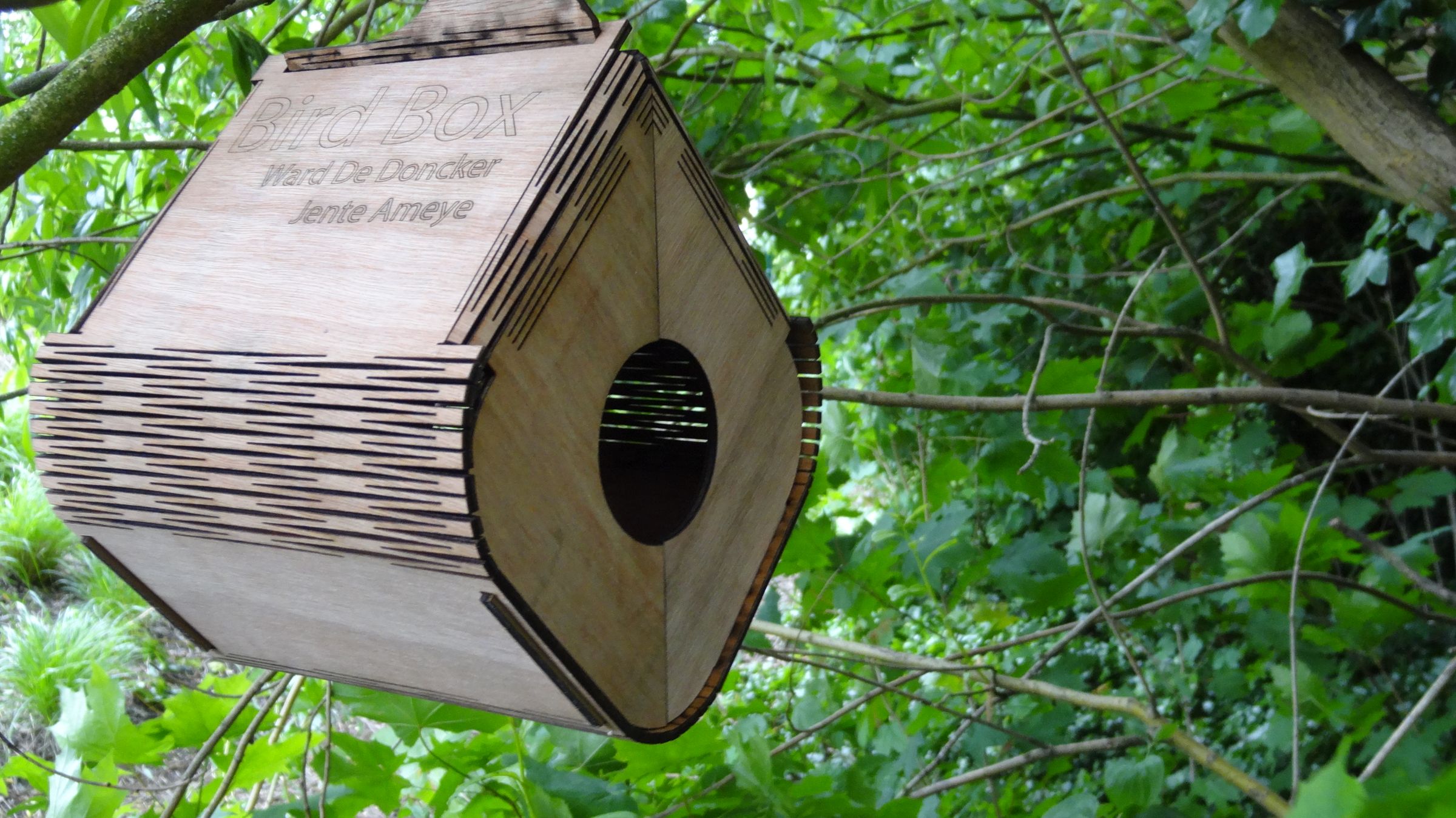Bendable Bird Box - Instructables
