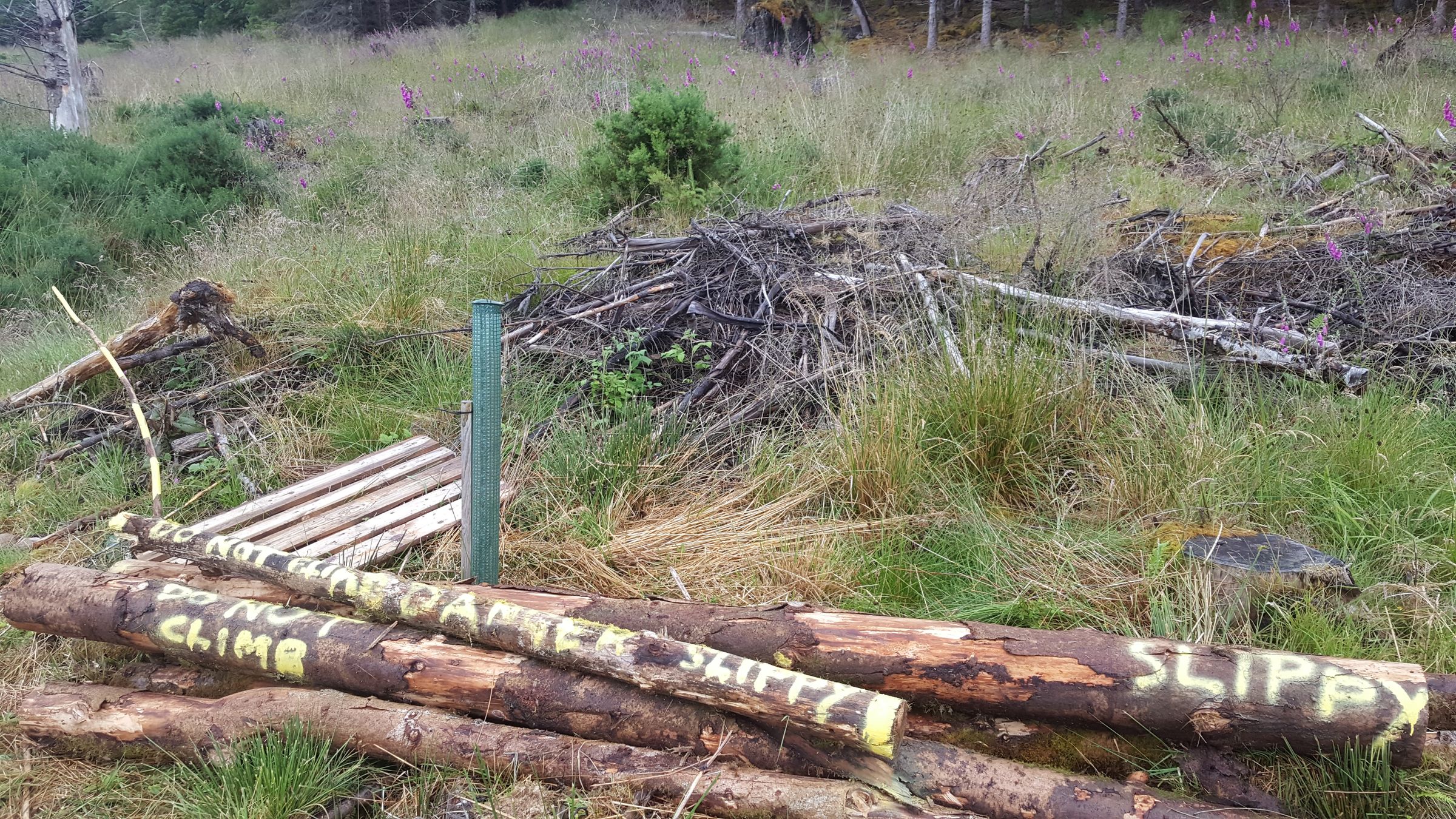 Log Pallet Bridge Introduction and Information : 13 Steps (with ...