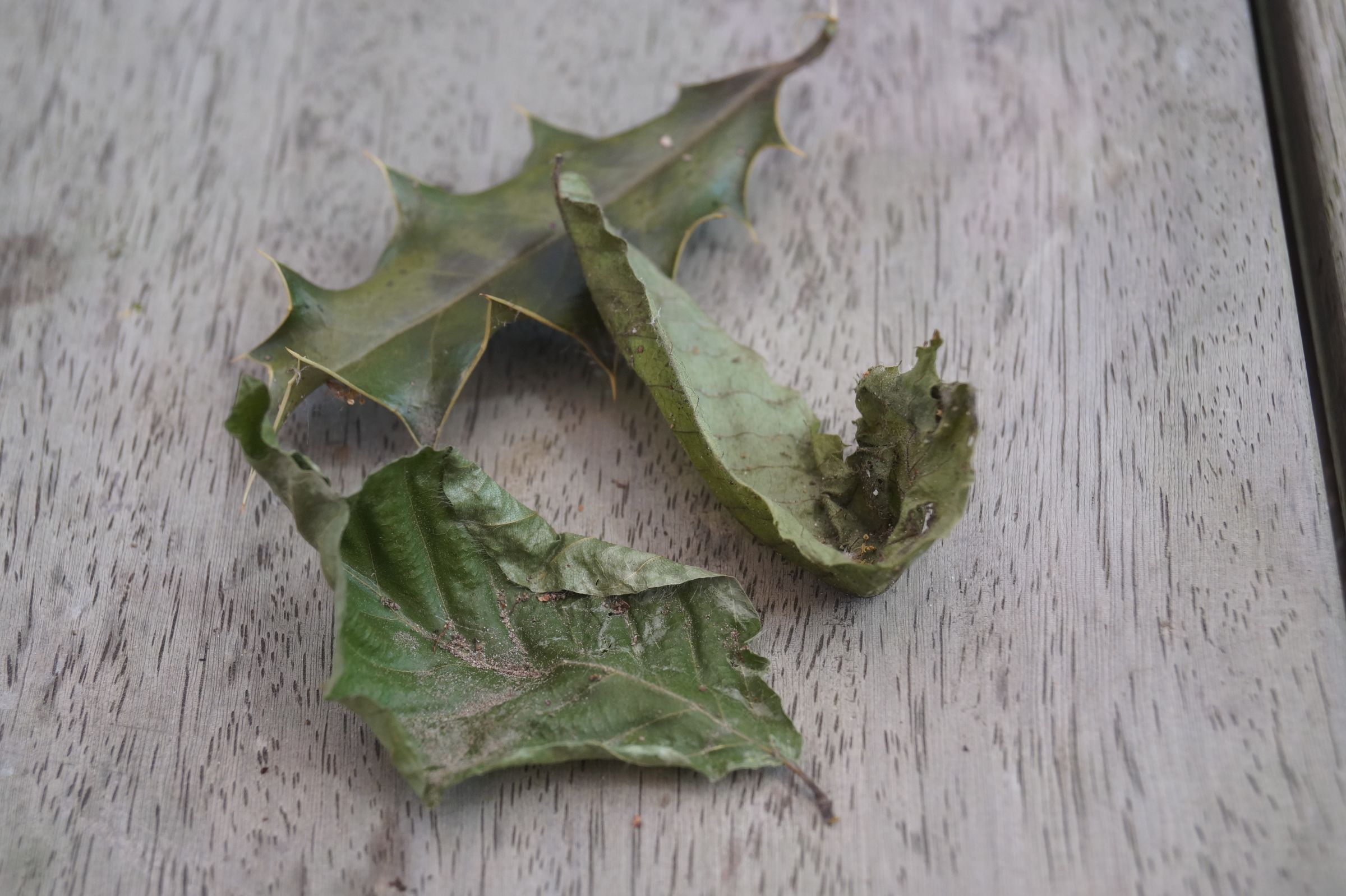 Creativity : Geocatch Map : 13 Steps (with Pictures) - Instructables