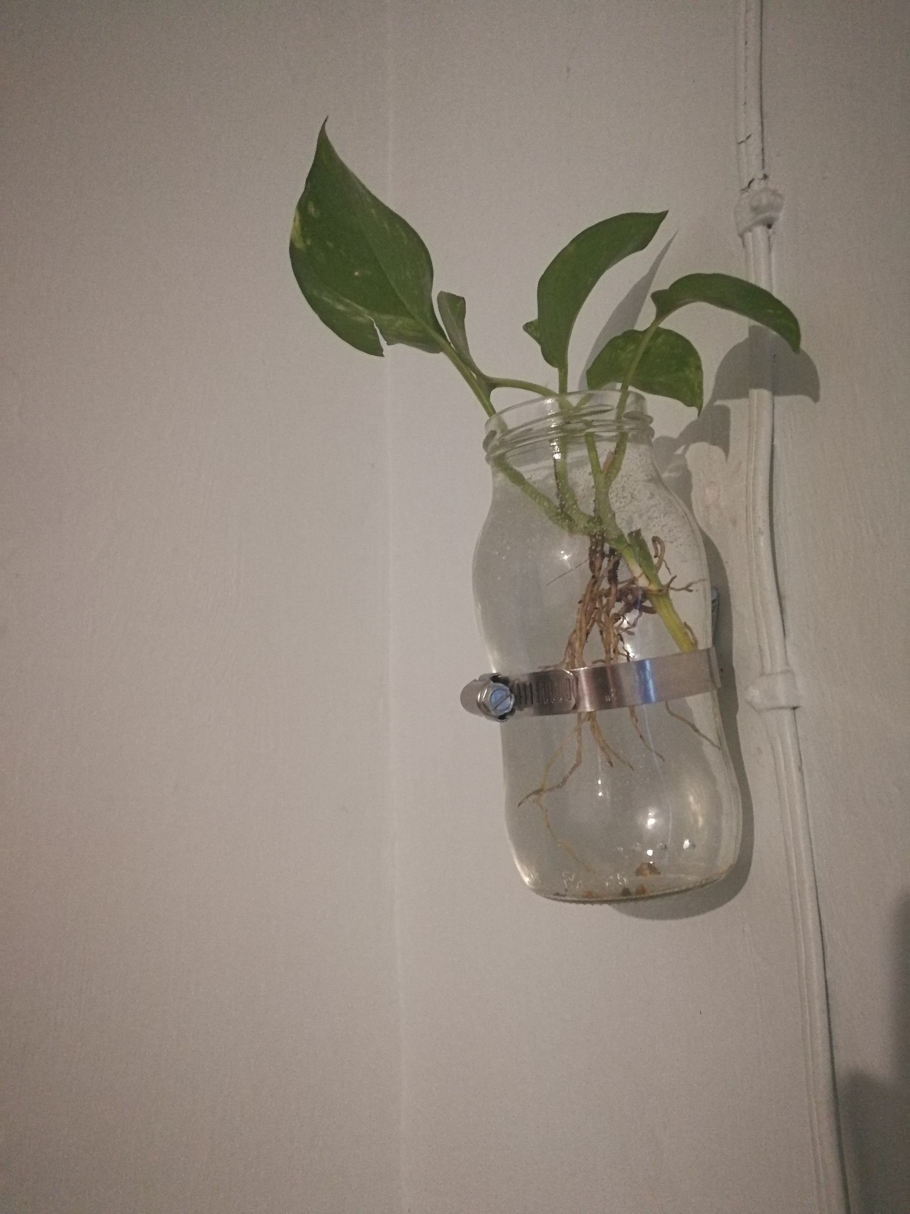 Floating Flower Pot From Glass Jar (with Pictures) - Instructables