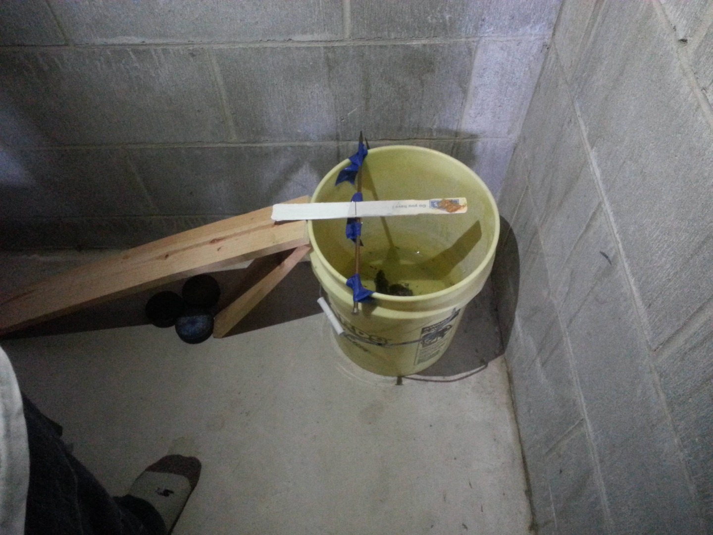 Effective & Humane Mouse Trap : 6 Steps - Instructables