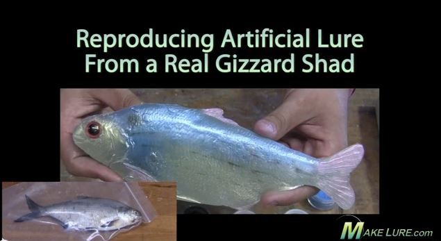 Make a Mold of a Real Fish! - Instructables