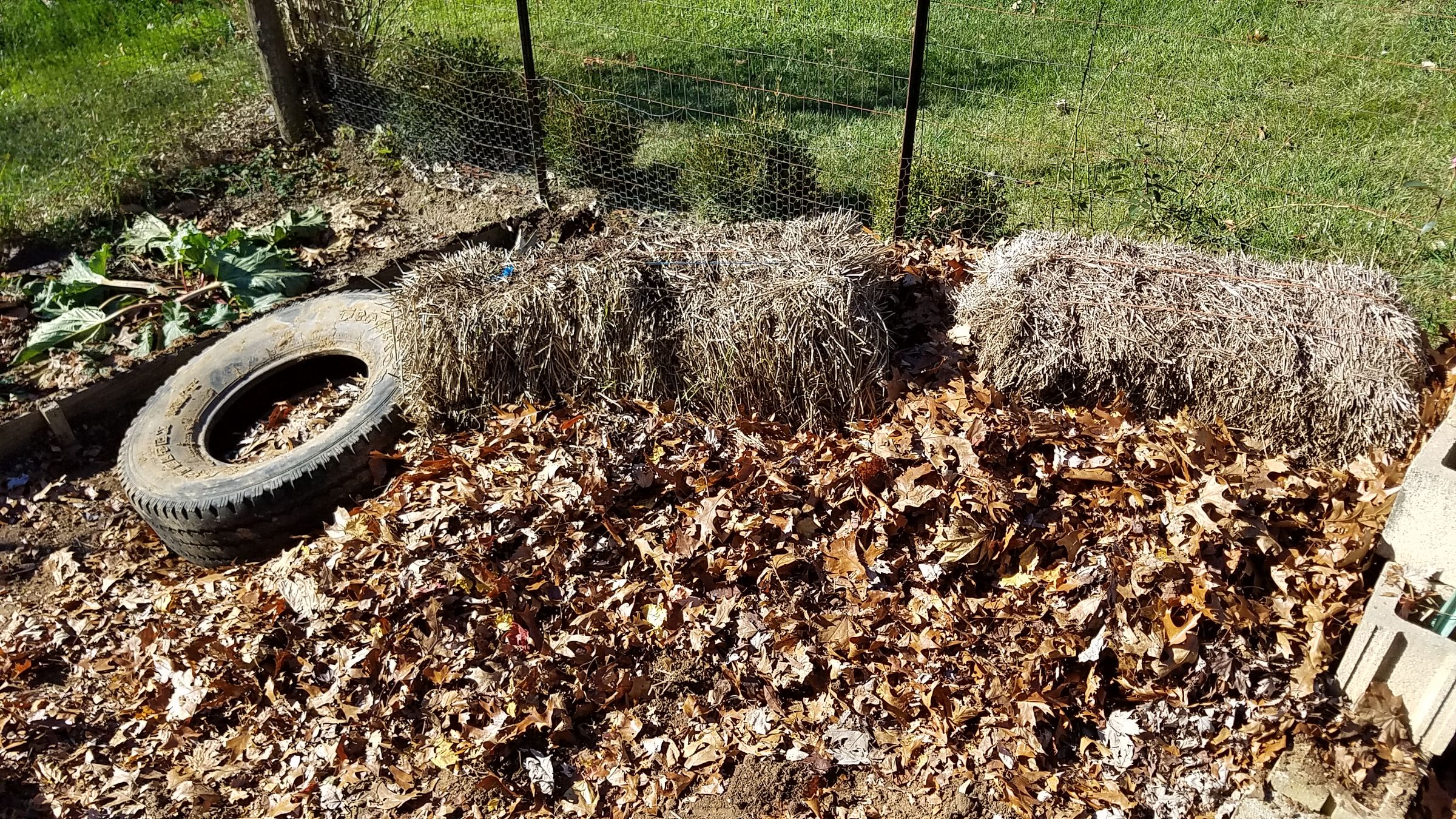 Bury a Fig Tree : 11 Steps (with Pictures) - Instructables