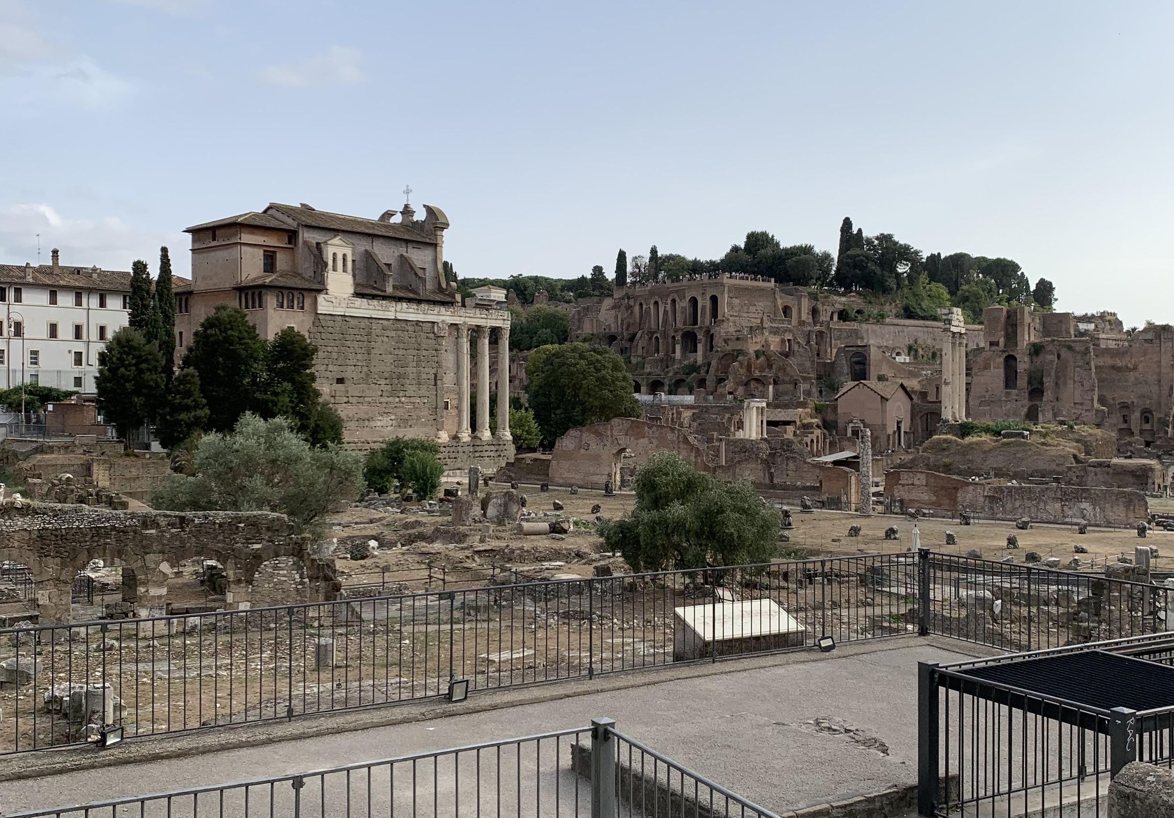 2000 Year Old Roman Flatbread With Herbal Ricotta and Olive Dip : 17 ...
