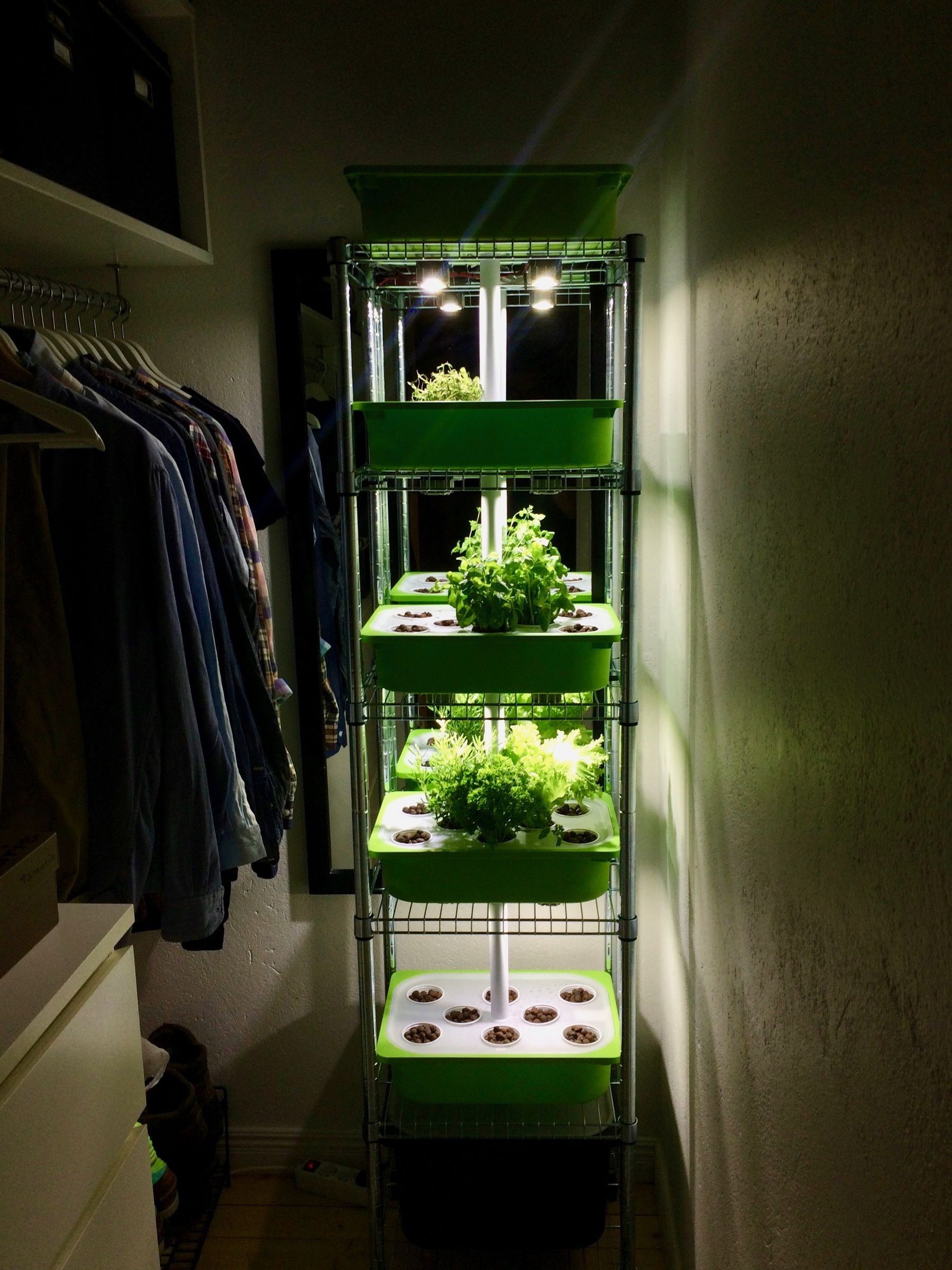 Indoor Hydrogarden : 5 Steps - Instructables