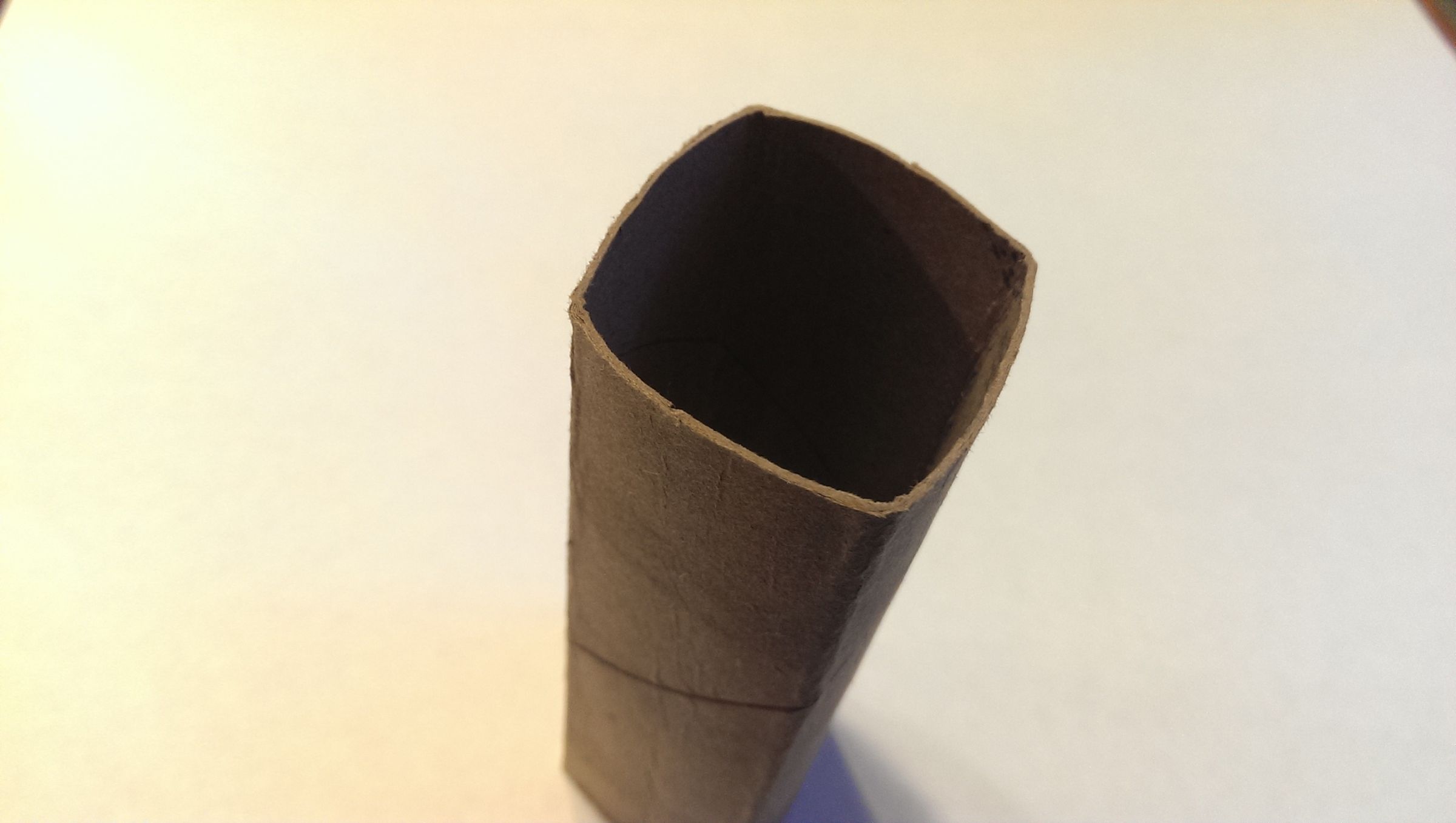 Biodegradable Toilet Paper Roll Seedling Pots : 6 Steps (with Pictures ...