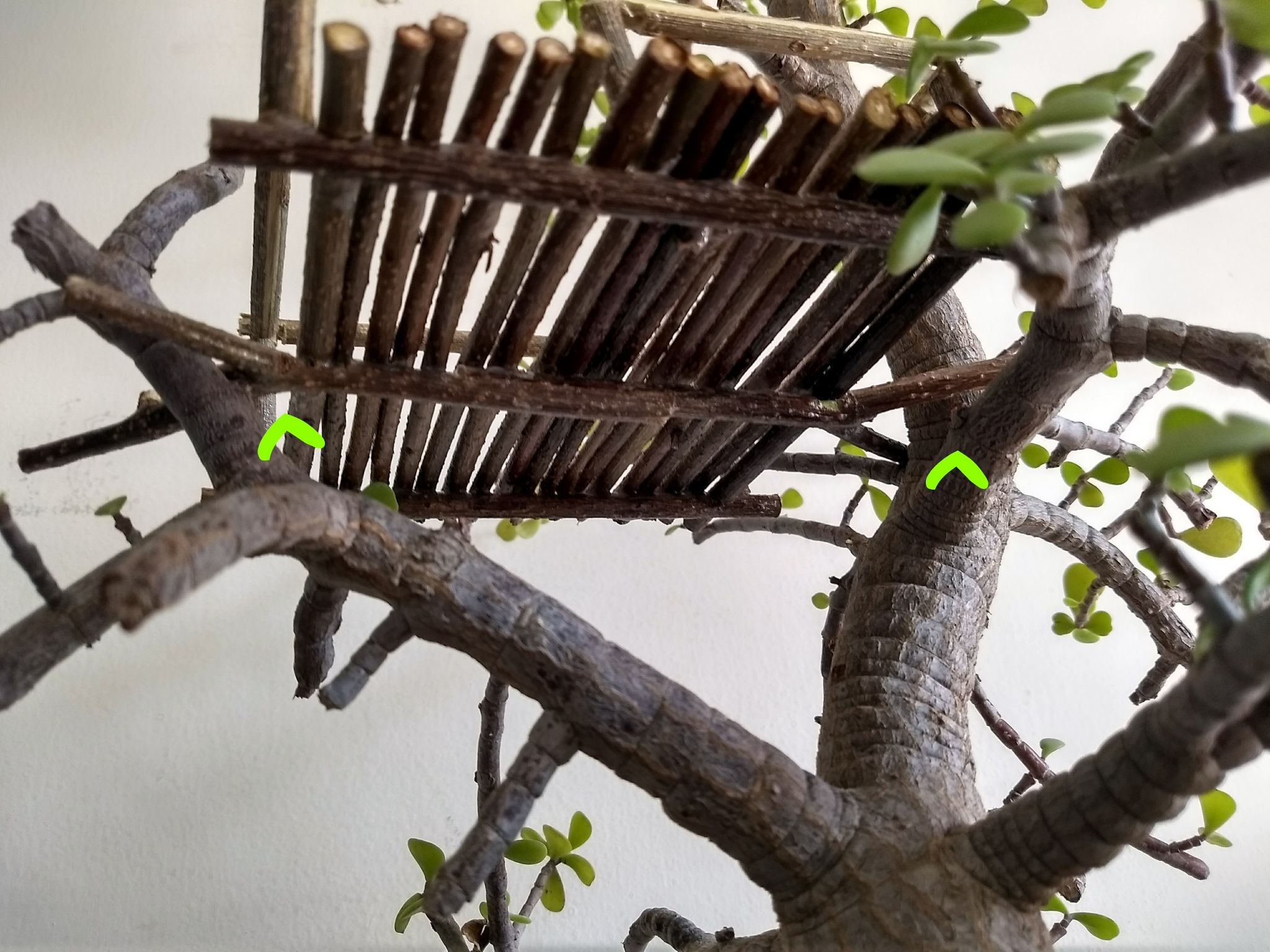 Bonsai Mini Lighted Rustic Tree House : 10 Steps (with Pictures ...
