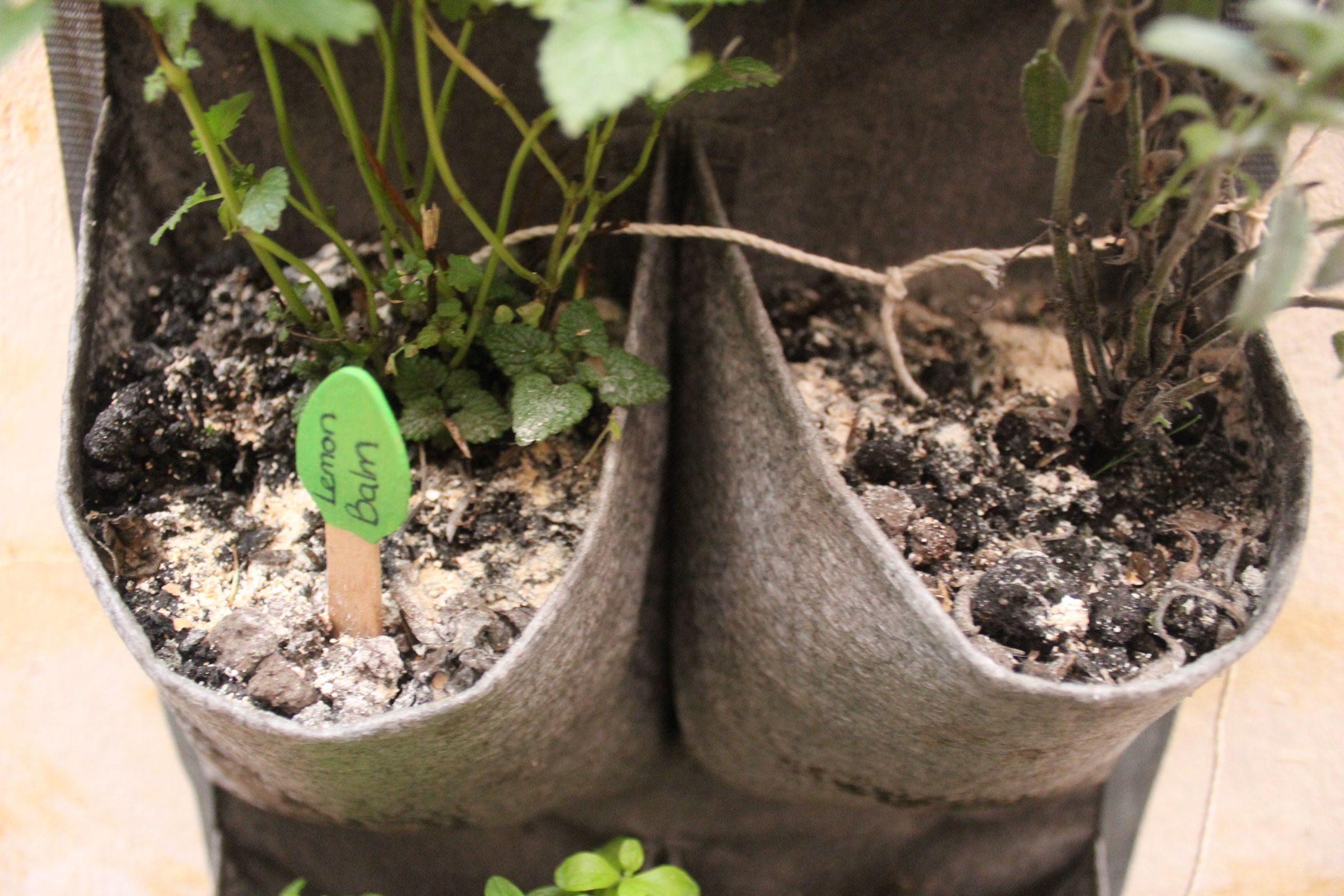 Wick Watering System : 3 Steps (with Pictures) - Instructables