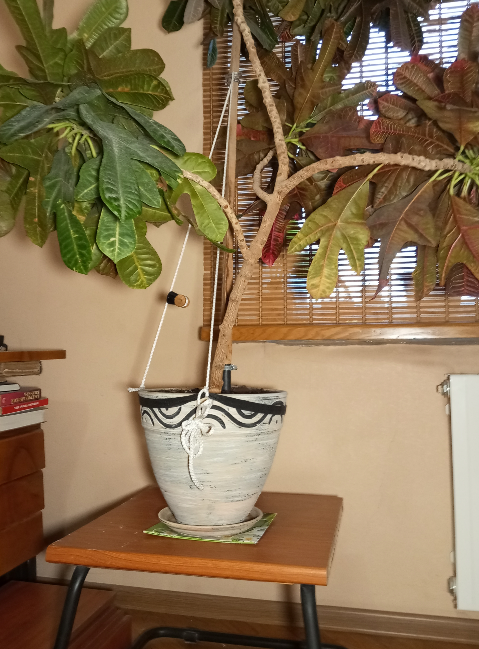 Rope in Tension Without Knots (with Pictures) - Instructables