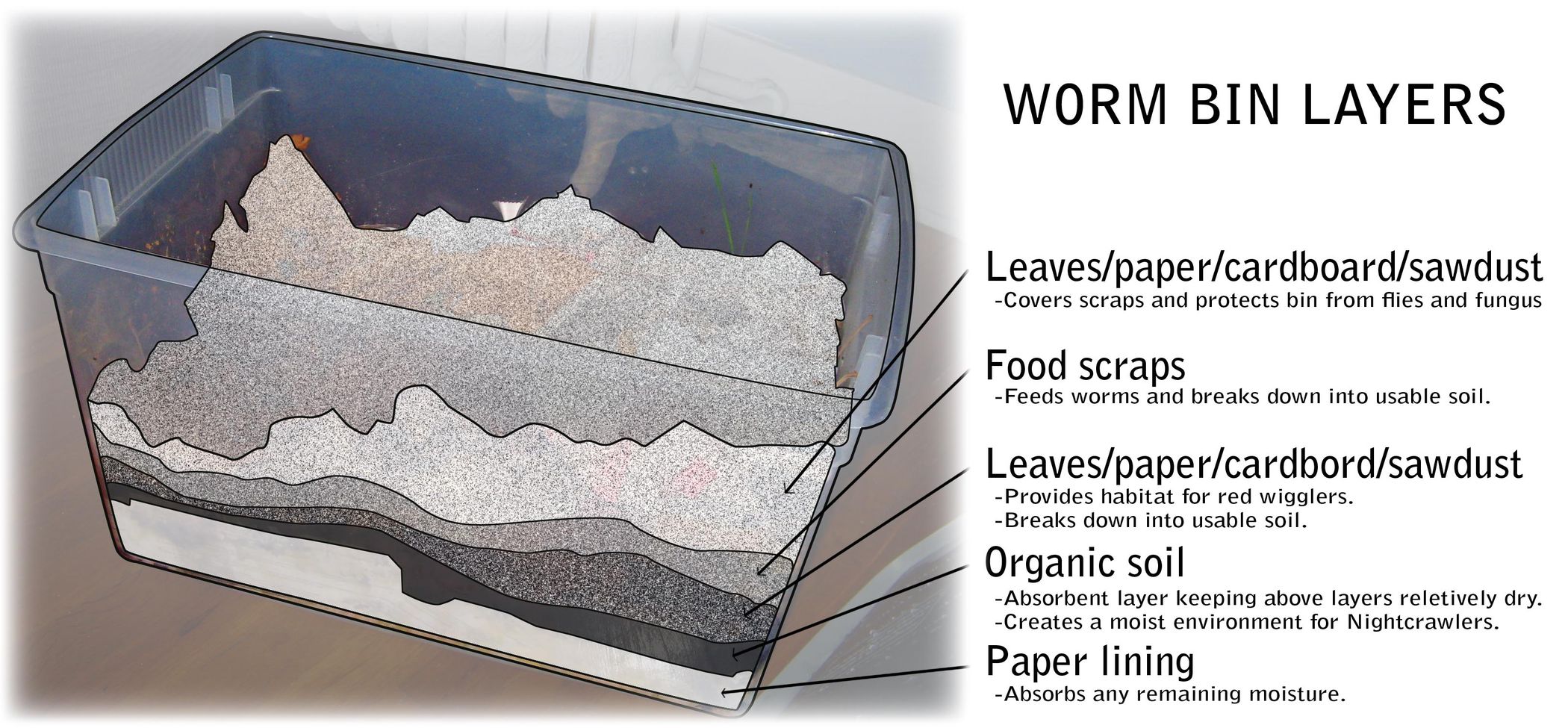 Drain-Free Home Worm Bin Composting : 12 Steps - Instructables