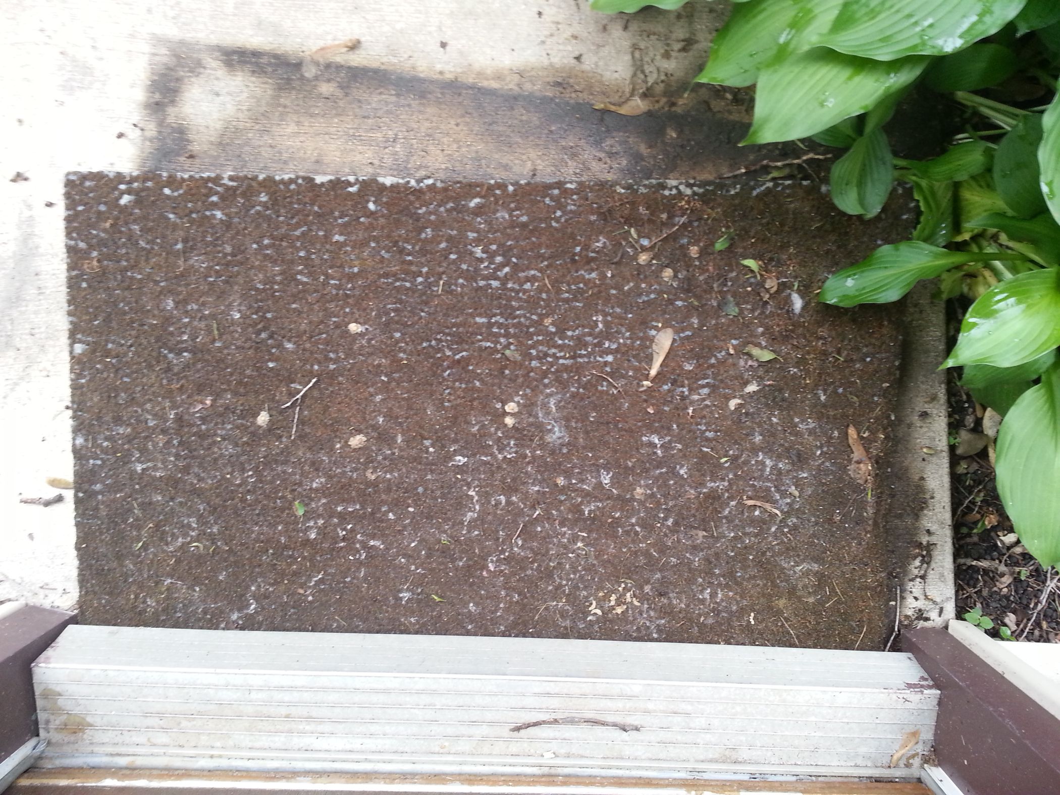 Grow a Garden Mat : 4 Steps - Instructables