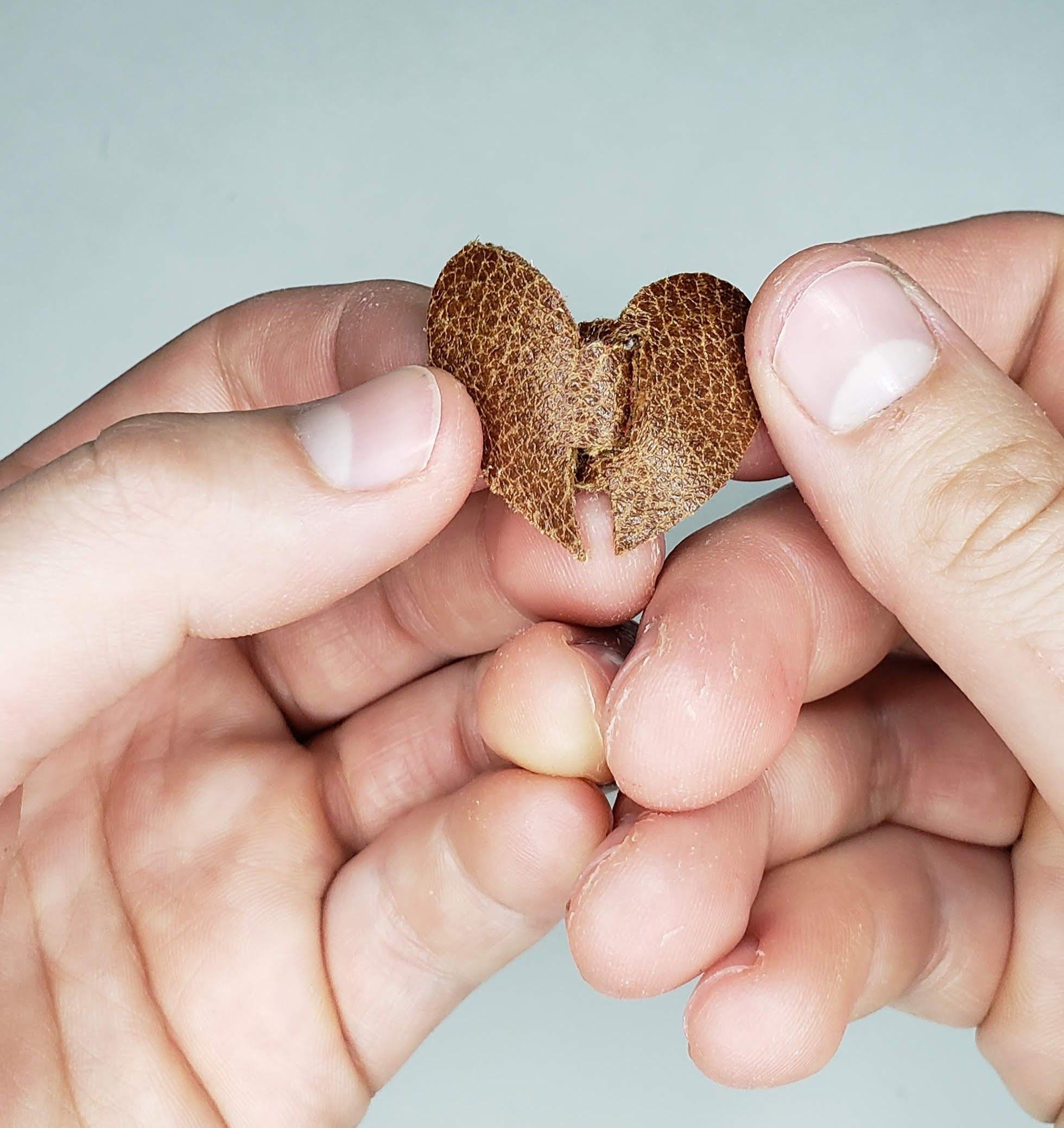 Leather Heart Ring (With Customizable Template) : 4 Steps (with ...
