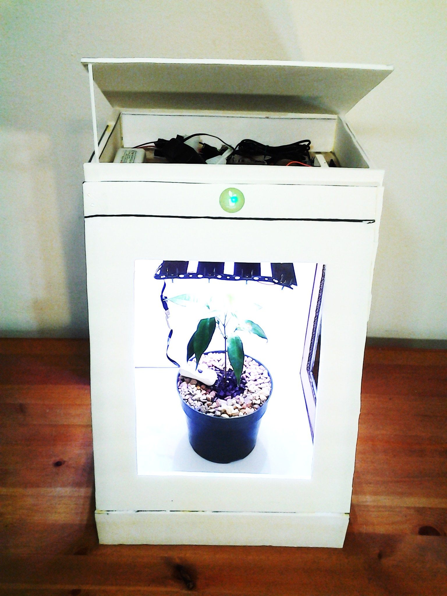 The Plant Box : 6 Steps - Instructables