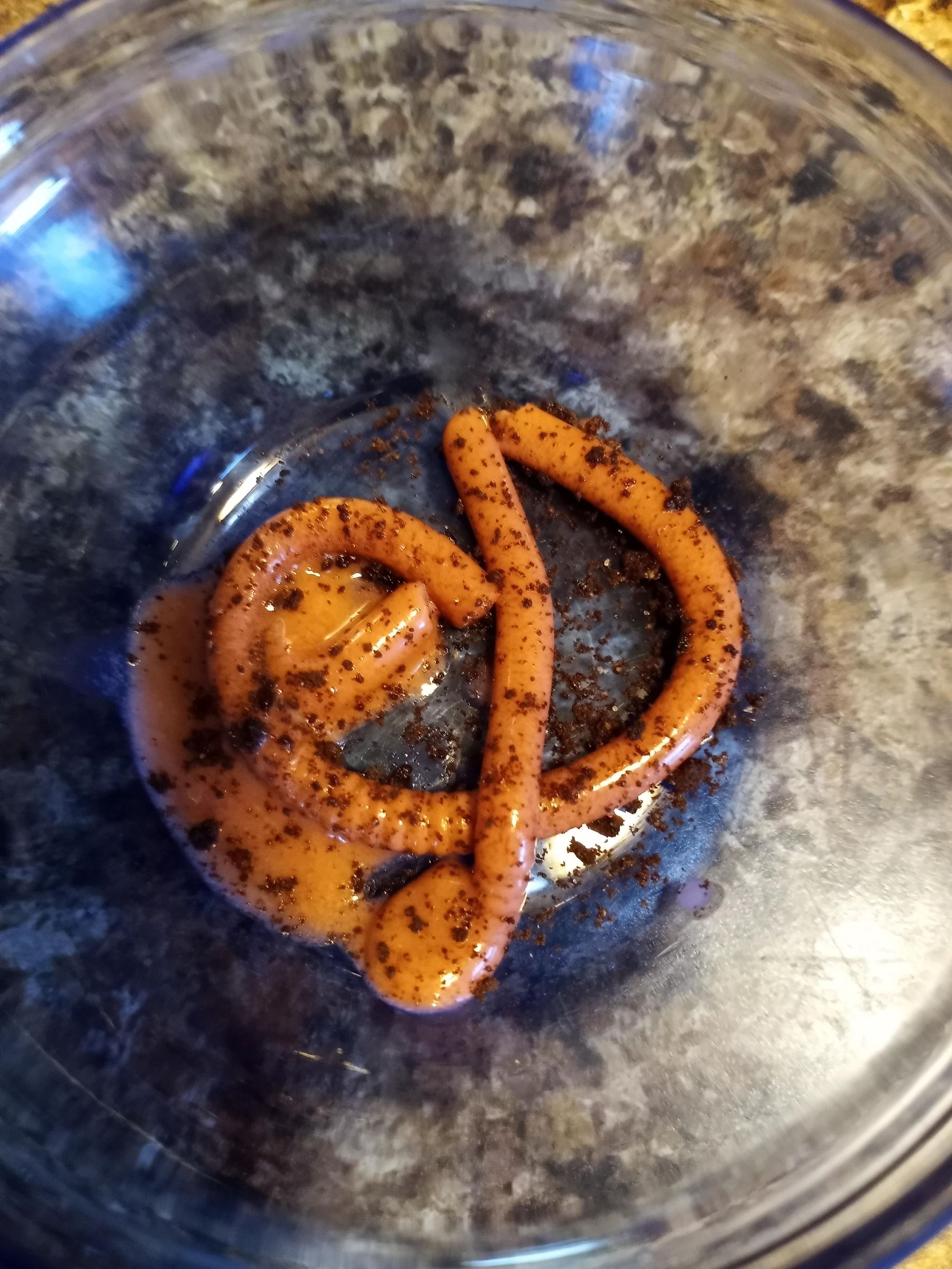 Anyone Care for Some Worms? : 10 Steps - Instructables