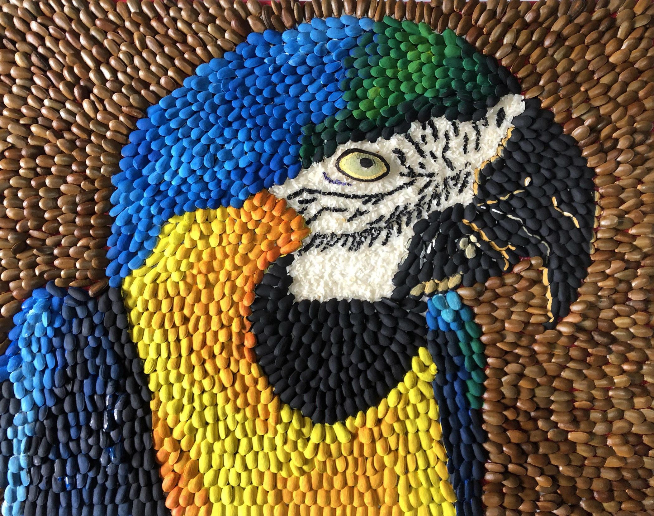 Macaw With Soursop Seeds, Rice and Mango. : 12 Steps (with Pictures ...