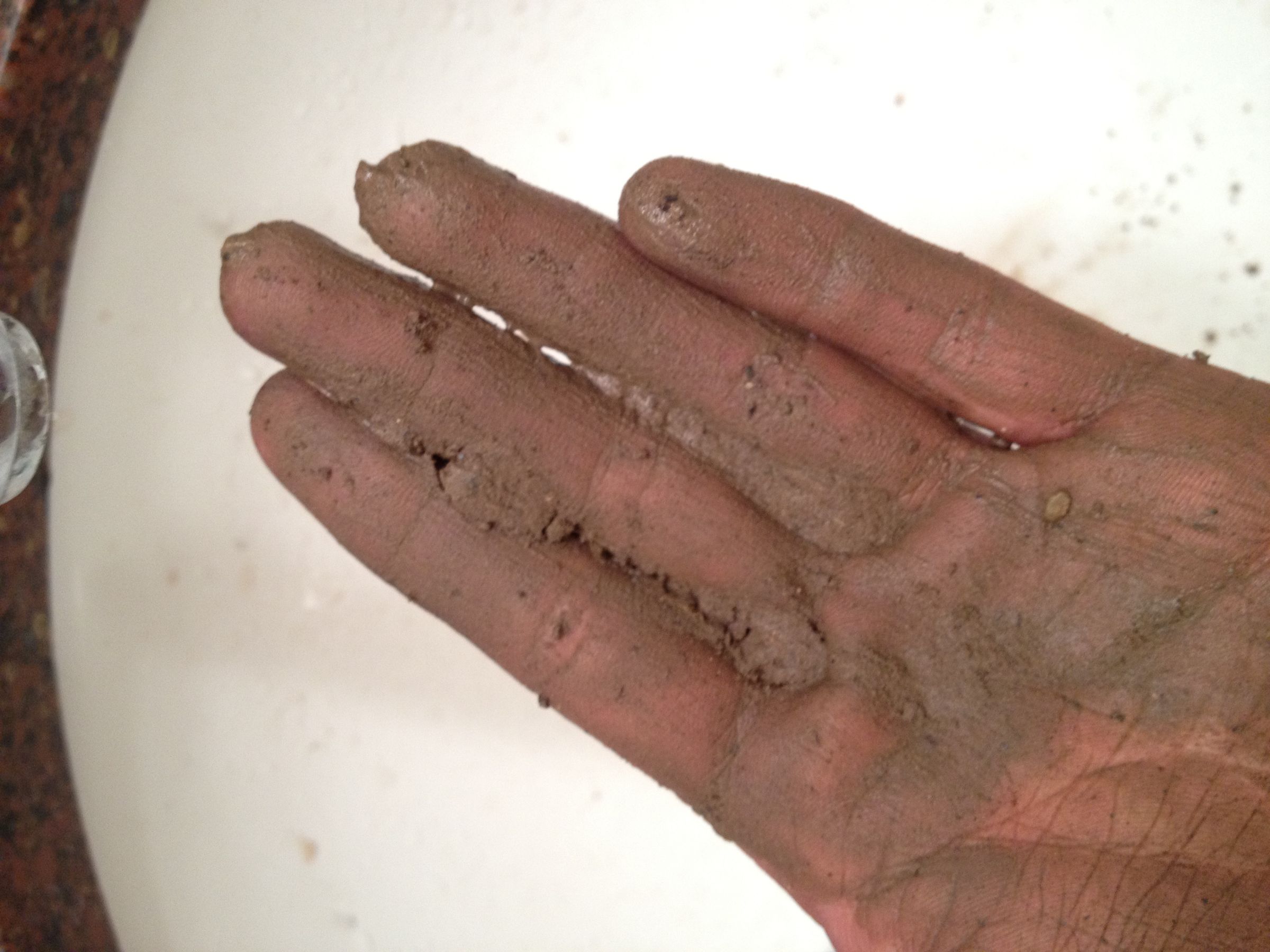 Clean Your Hands With Dirt! : 5 Steps (with Pictures) - Instructables