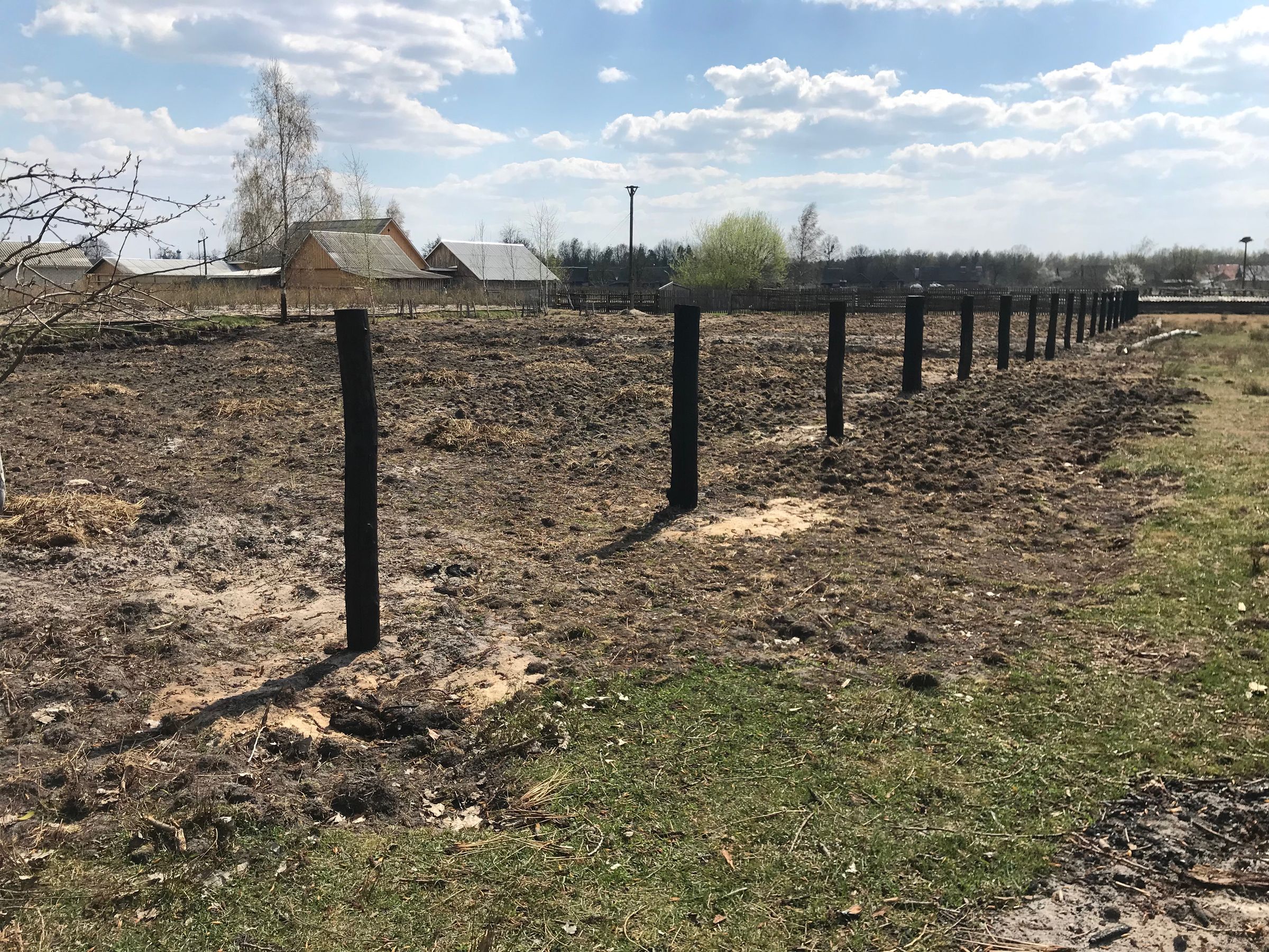 Shrubs to Hazelnuts : 24 Steps - Instructables