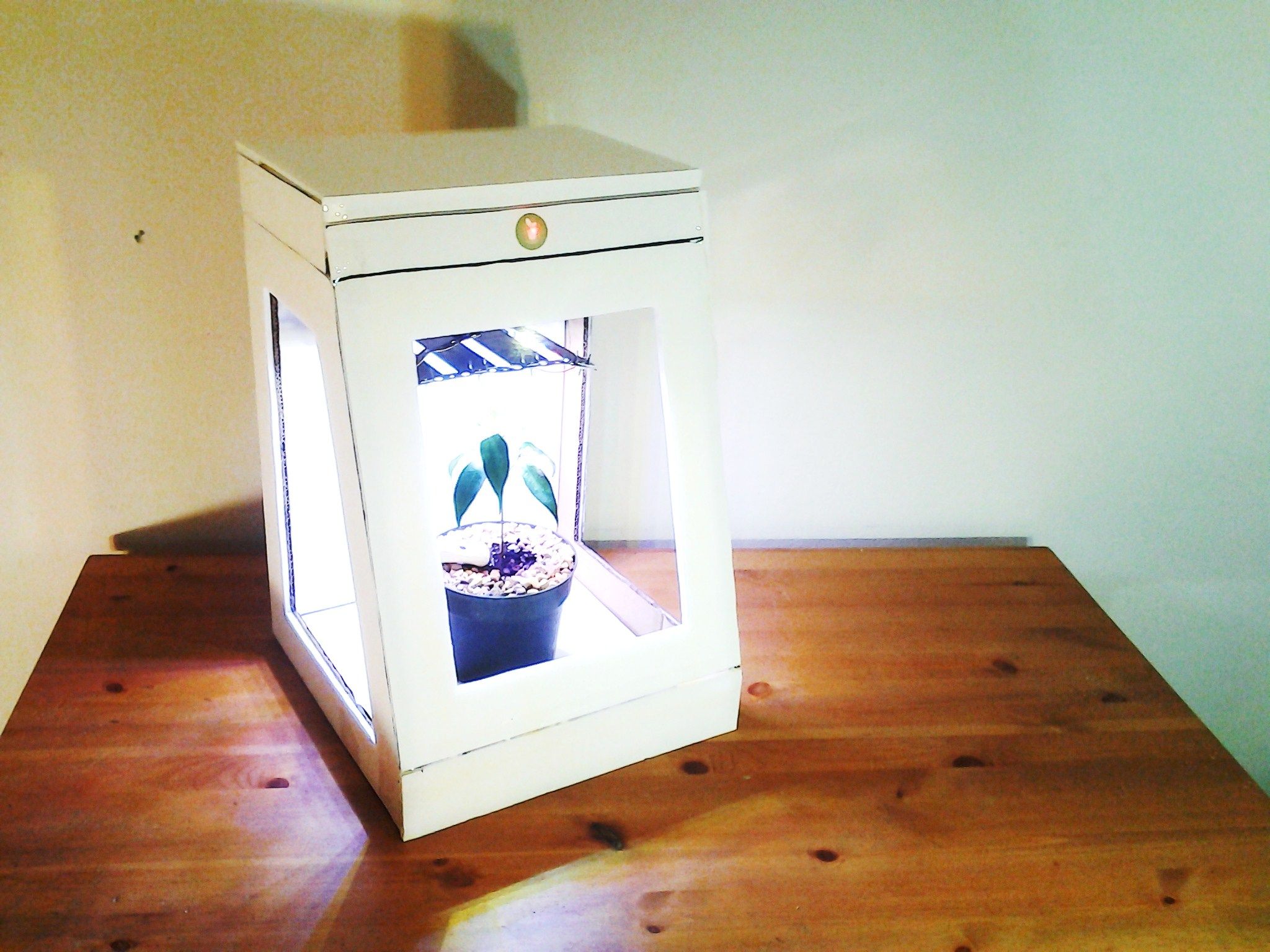 The Plant Box : 6 Steps - Instructables