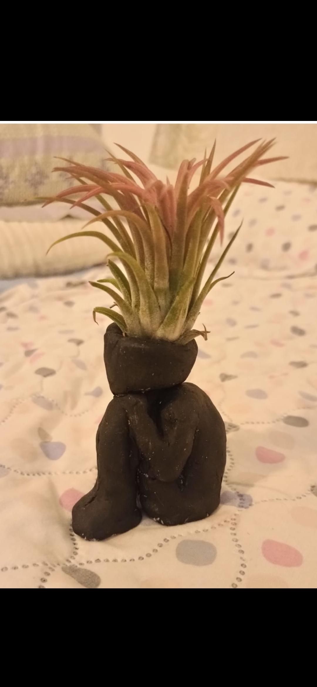 Clay Plant+silicon Mold : 7 Steps - Instructables