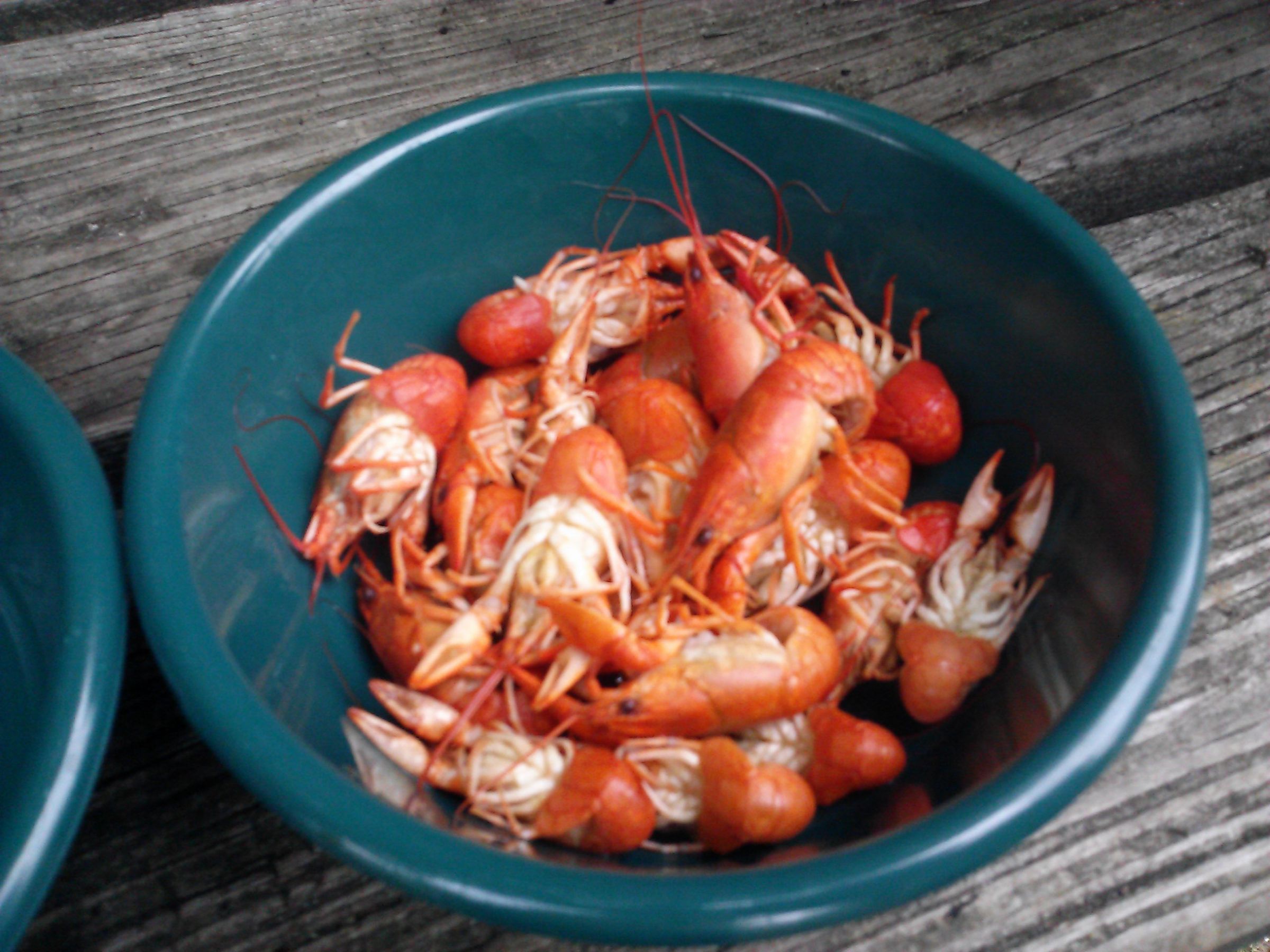 Boiling Fresh Crayfish - a Timeless Tradition : 4 Steps (with Pictures ...