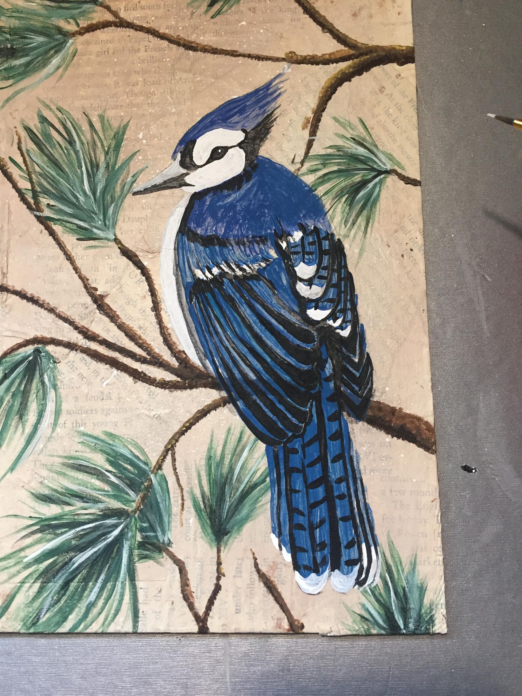How to Paint a Blue Jay on a Branch. : 13 Steps (with Pictures ...